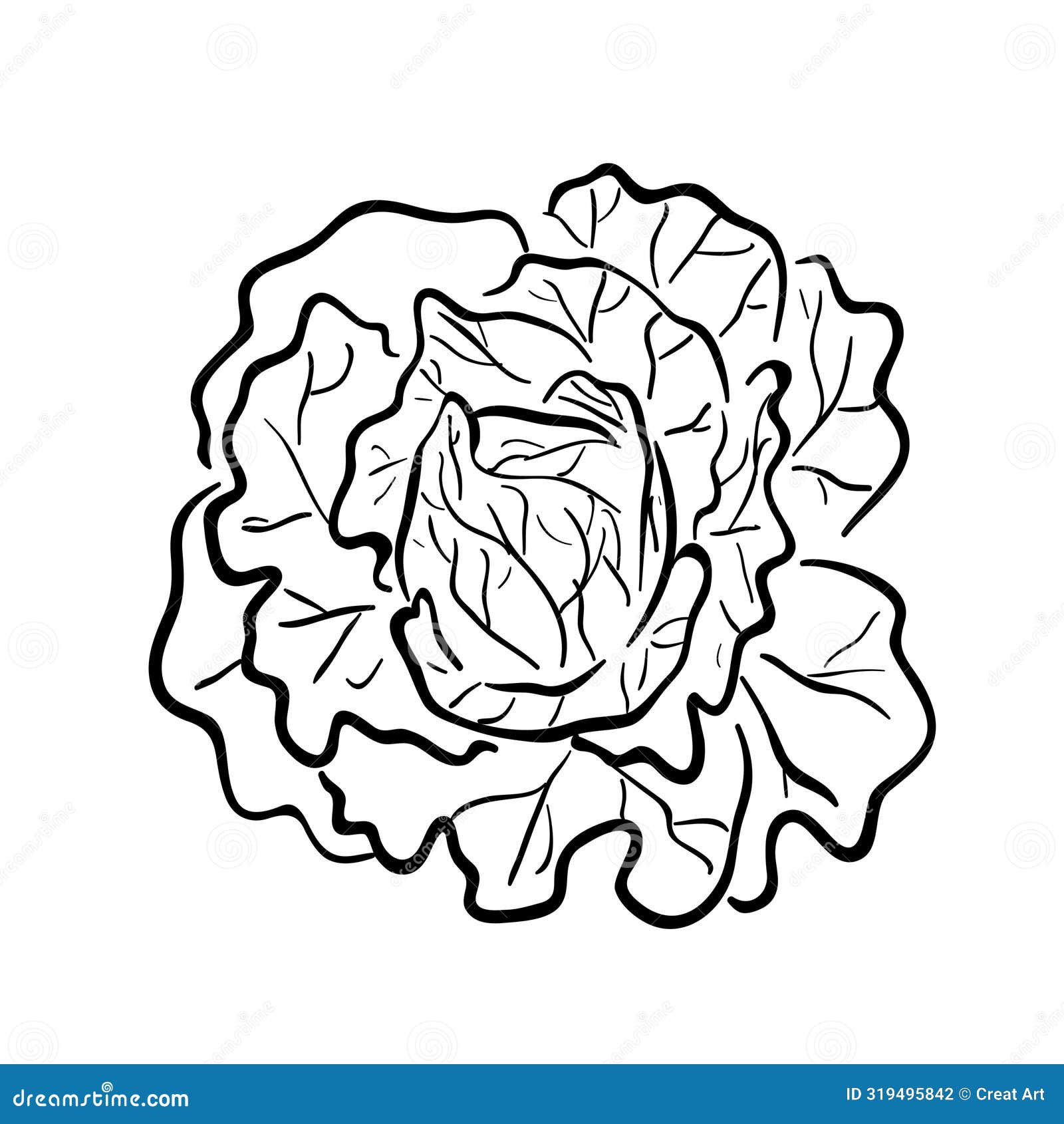 Cabbage Vegetable Vector Illustration, Cabbage Flat Icon Design ...