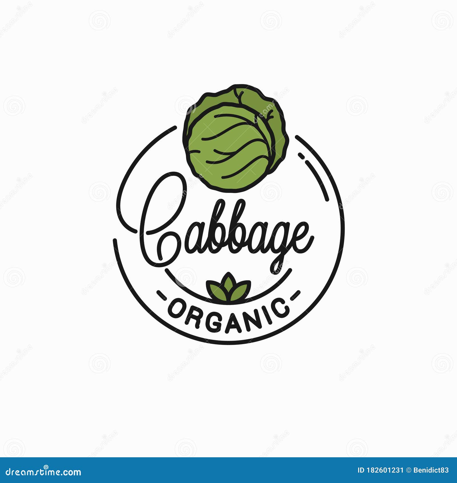Cabbage Vegetable Vector Illustration, Cabbage Flat Icon Design ...