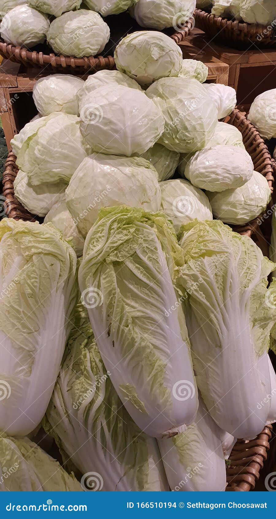 Cabbage Vegetable Market Many Stock Photo - Image of vegetable, organic ...