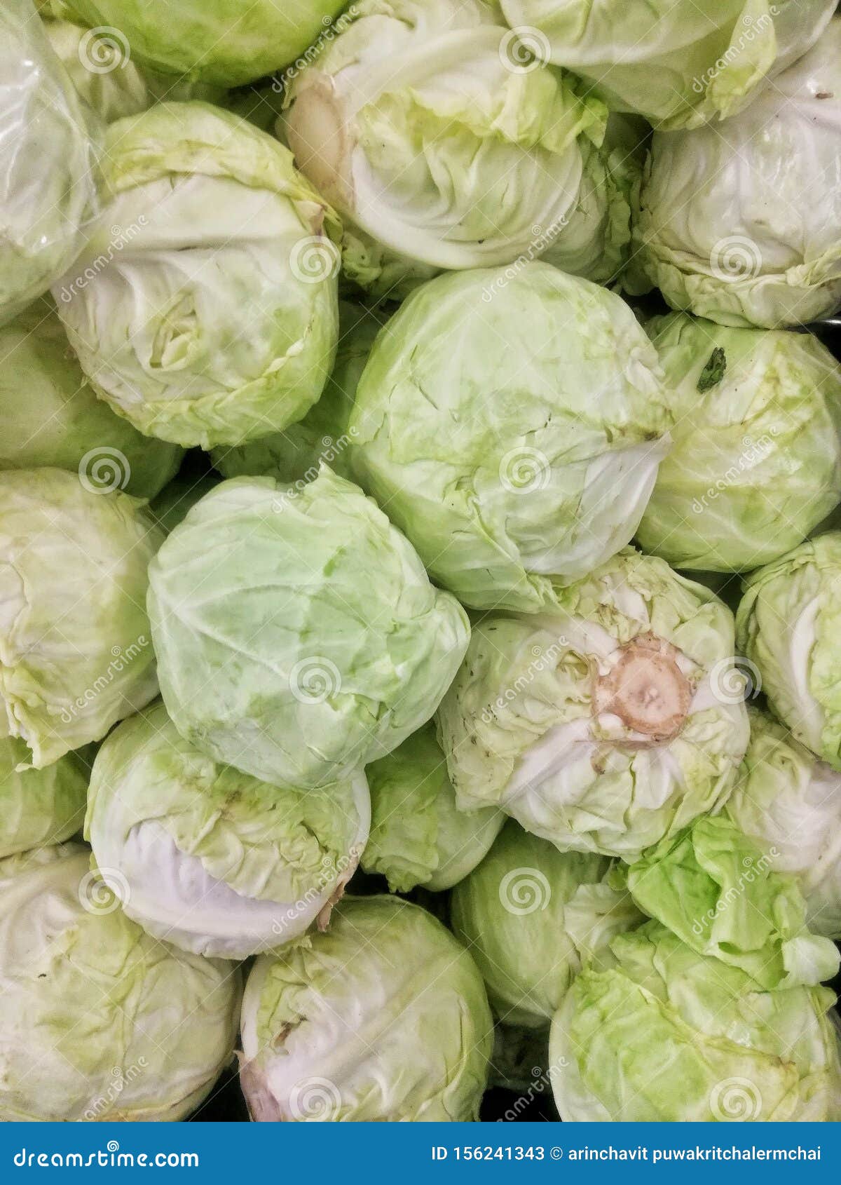 The Cabbage Wallpaper. the Cabbage Background Stock Image - Image of ...