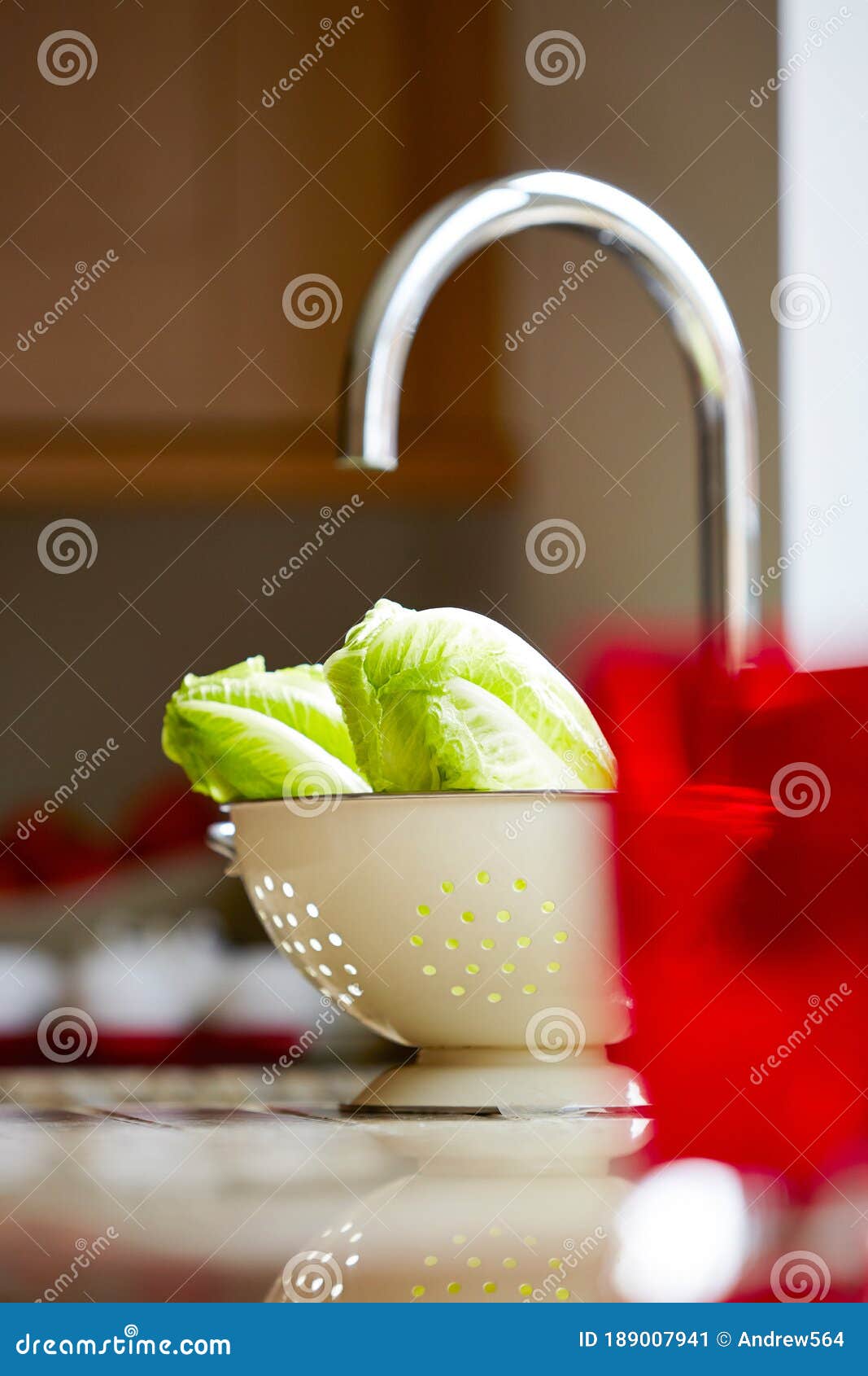 Cabbage in a Washing Bowl Over Kitchen Counter Stock Image - Image of ...