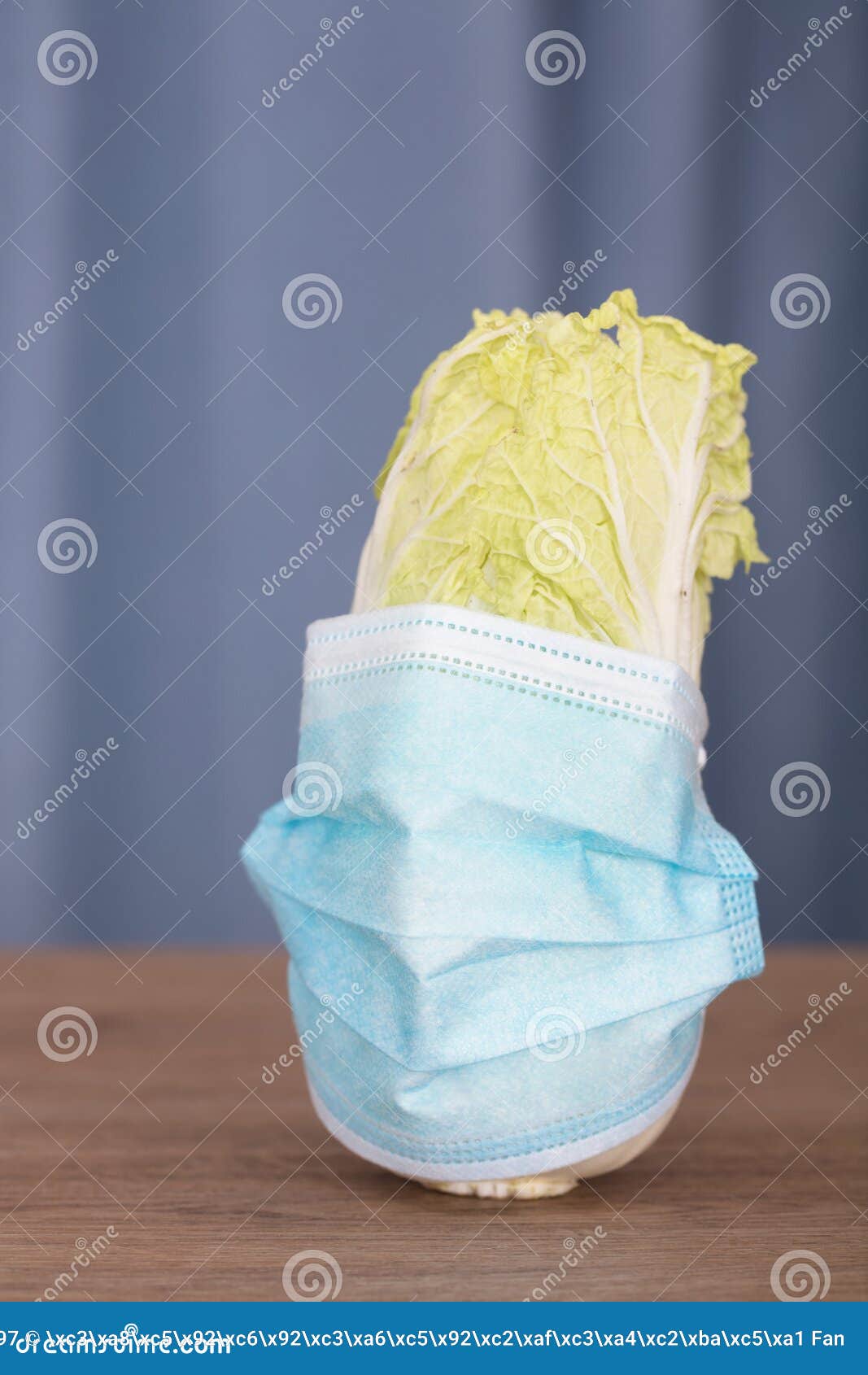 Cabbage Wearing a Mask on Table Stock Image - Image of scales, objects ...