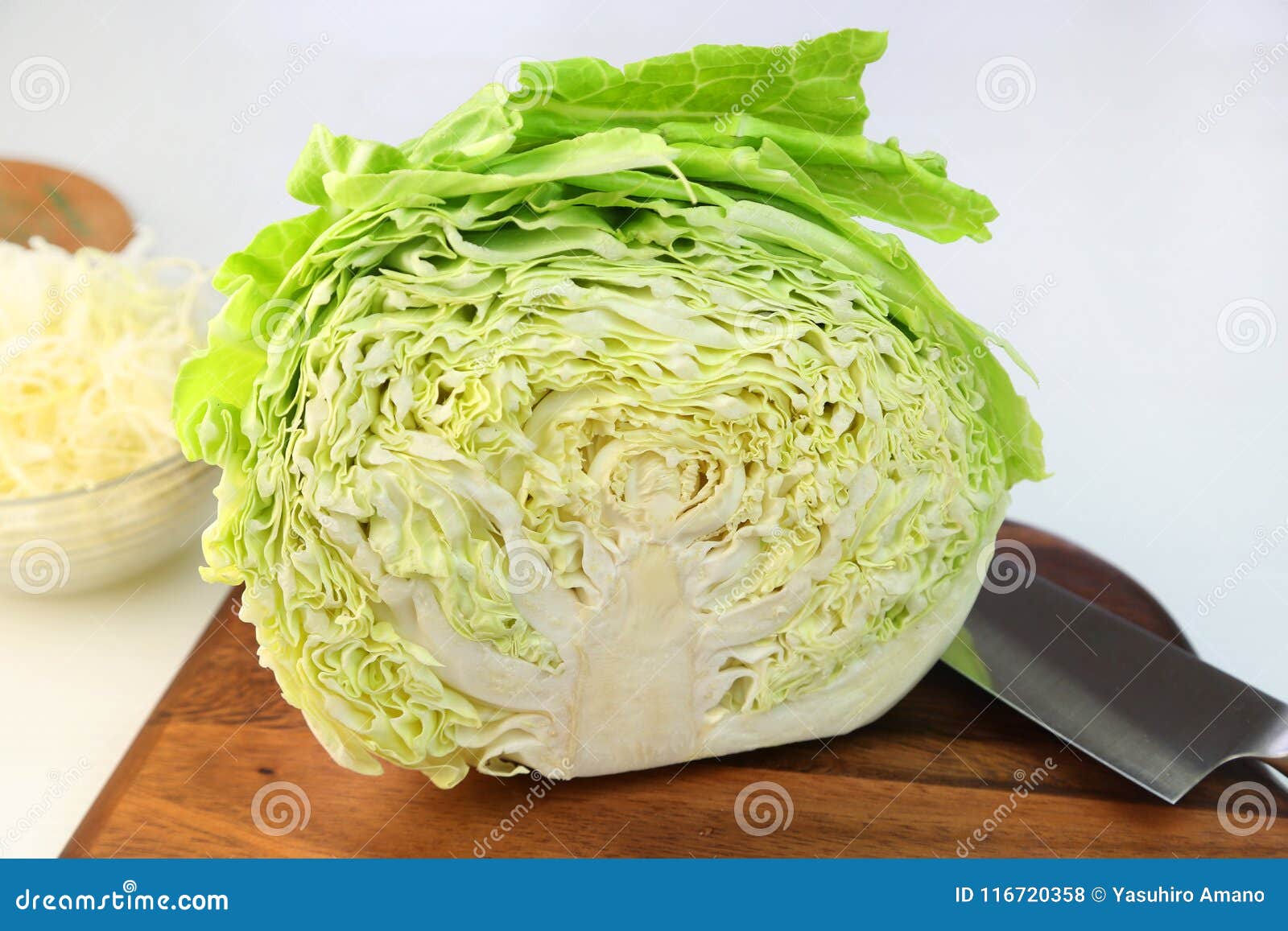 The Cabbage Which I Half Cut Stock Photo - Image of background, nature ...