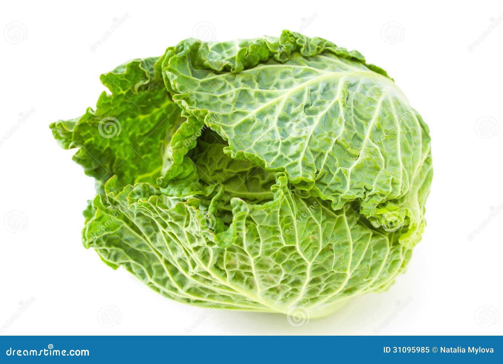 Cabbage on White Background Stock Image - Image of kitchen, vegetarian ...