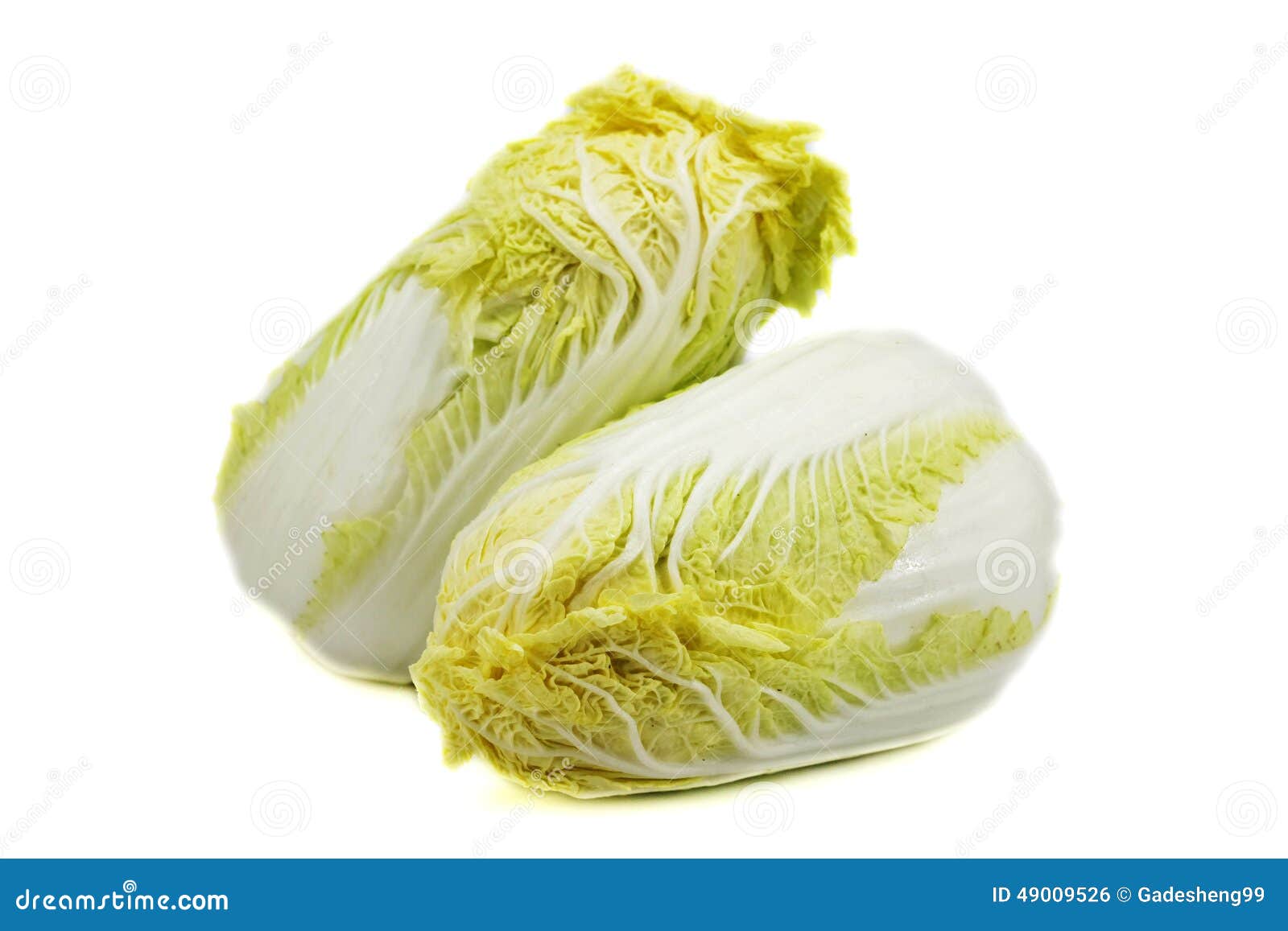 Cabbage stock photo. Image of food, nature, colour, harvest - 49009526