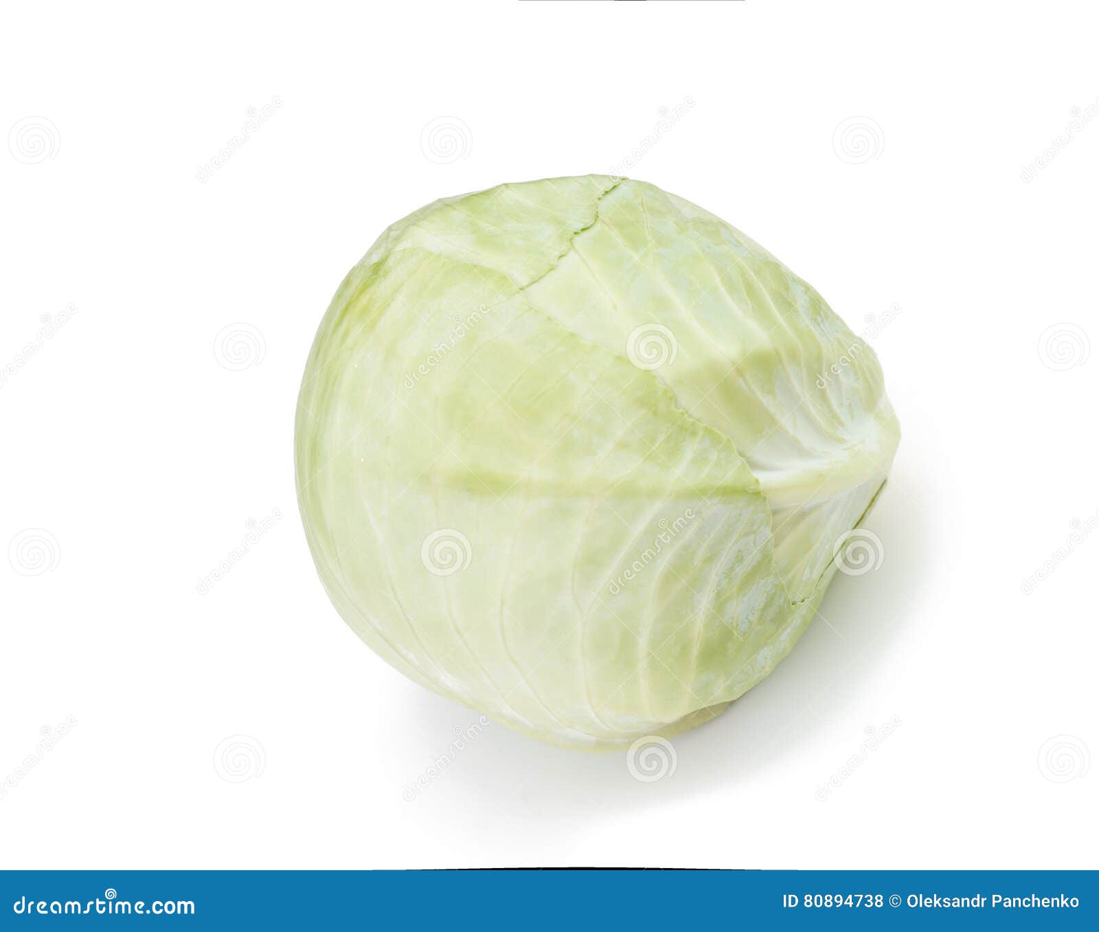 Cabbage on White Background Stock Photo - Image of health, farmer: 80894738