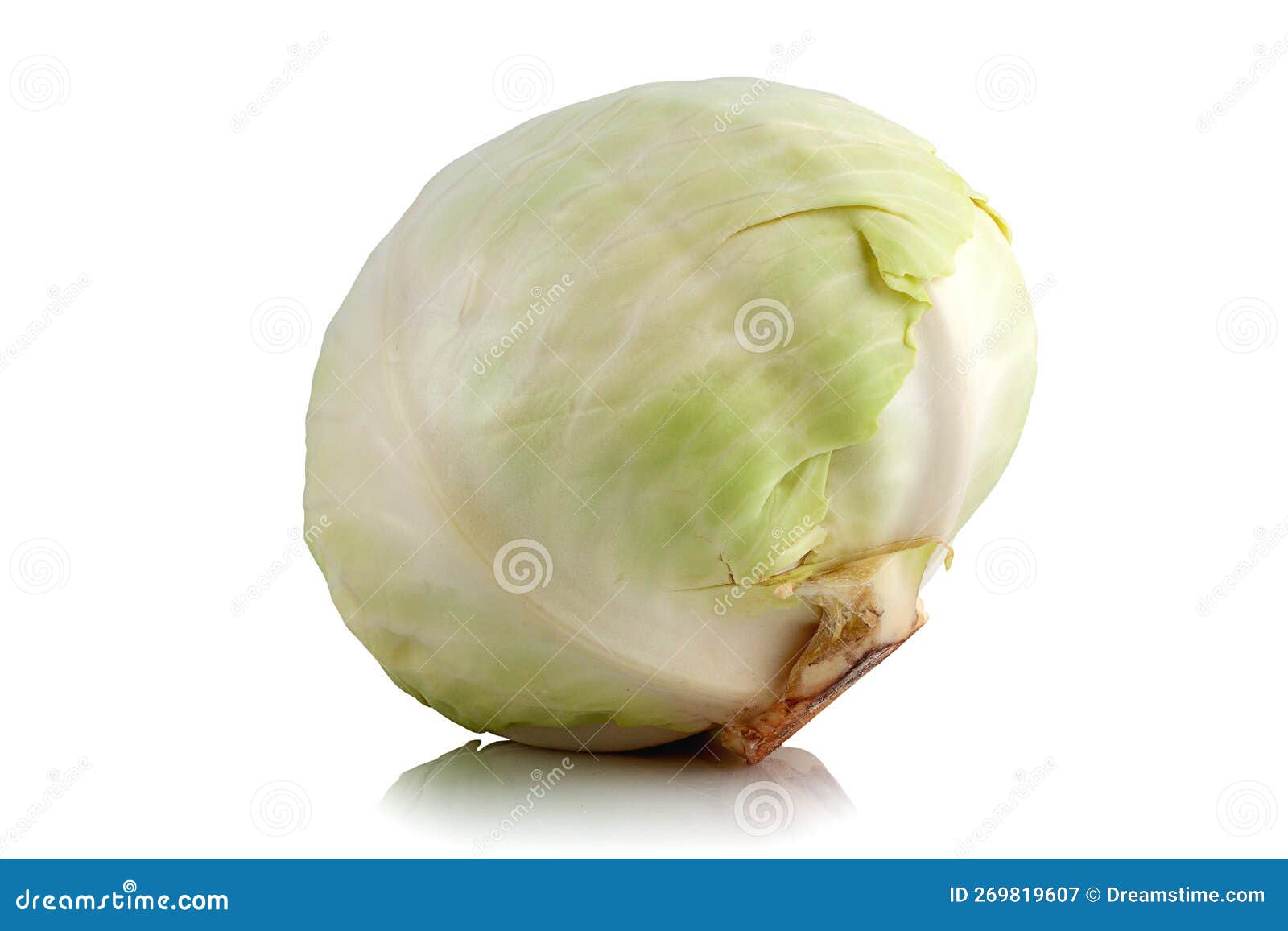 Cabbage on a White Background Stock Image - Image of head, cabbage ...