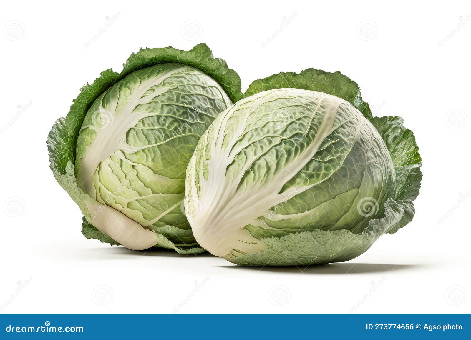 Cabbage on a White Background. Head of Cabbage with Leaves Isolated on ...