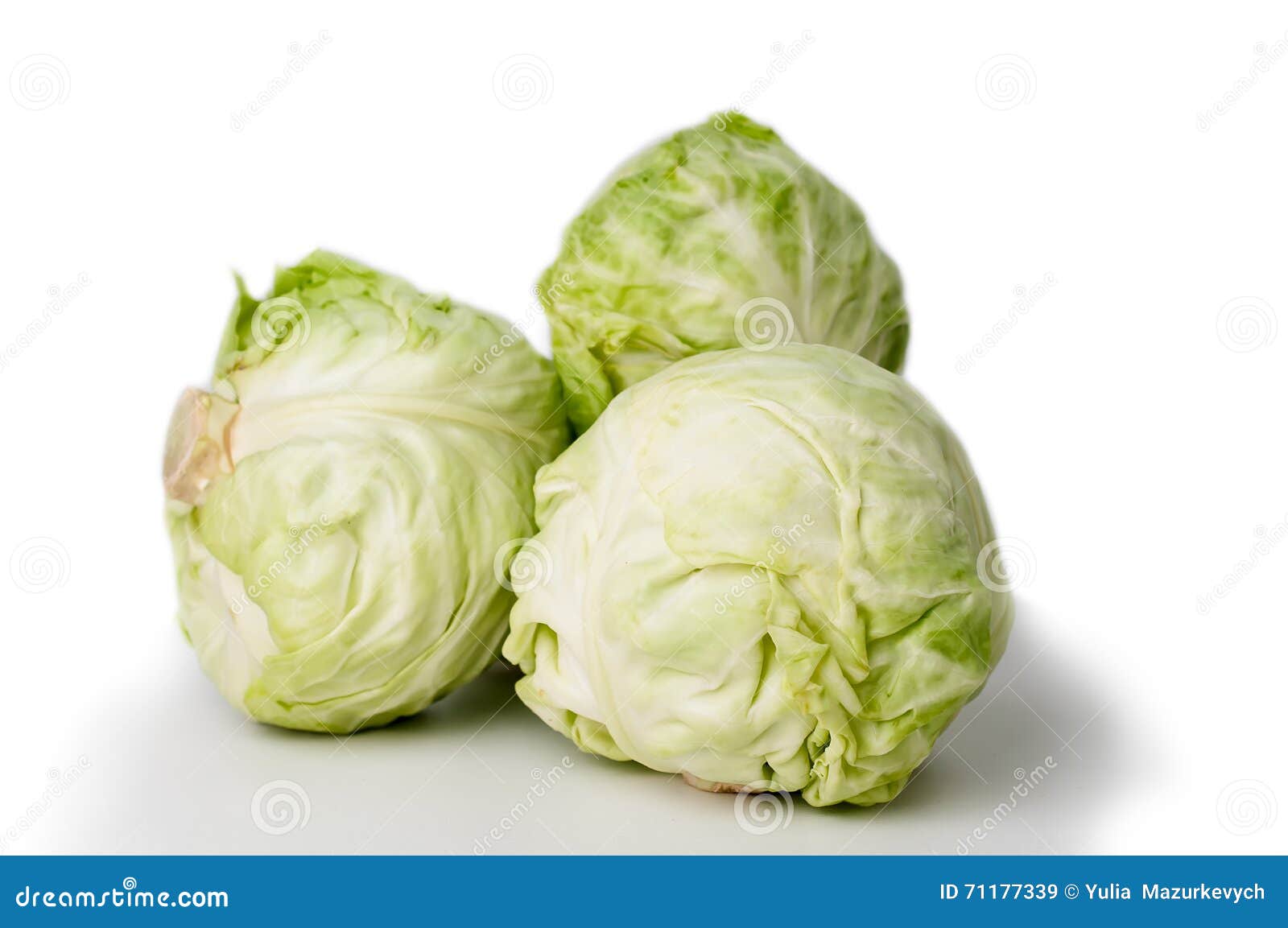 Cabbage on White Background Stock Image - Image of background, eating ...