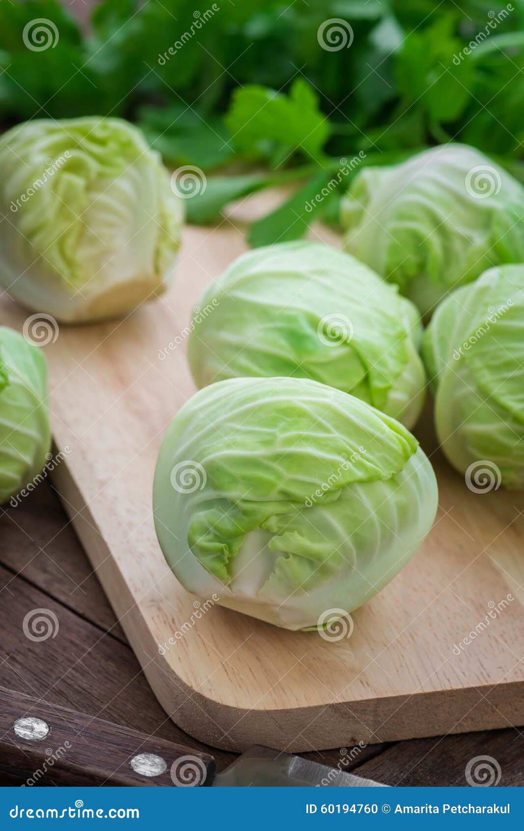 Cabbage on Wooden Cutting Board Stock Photo - Image of fresh, healthy ...