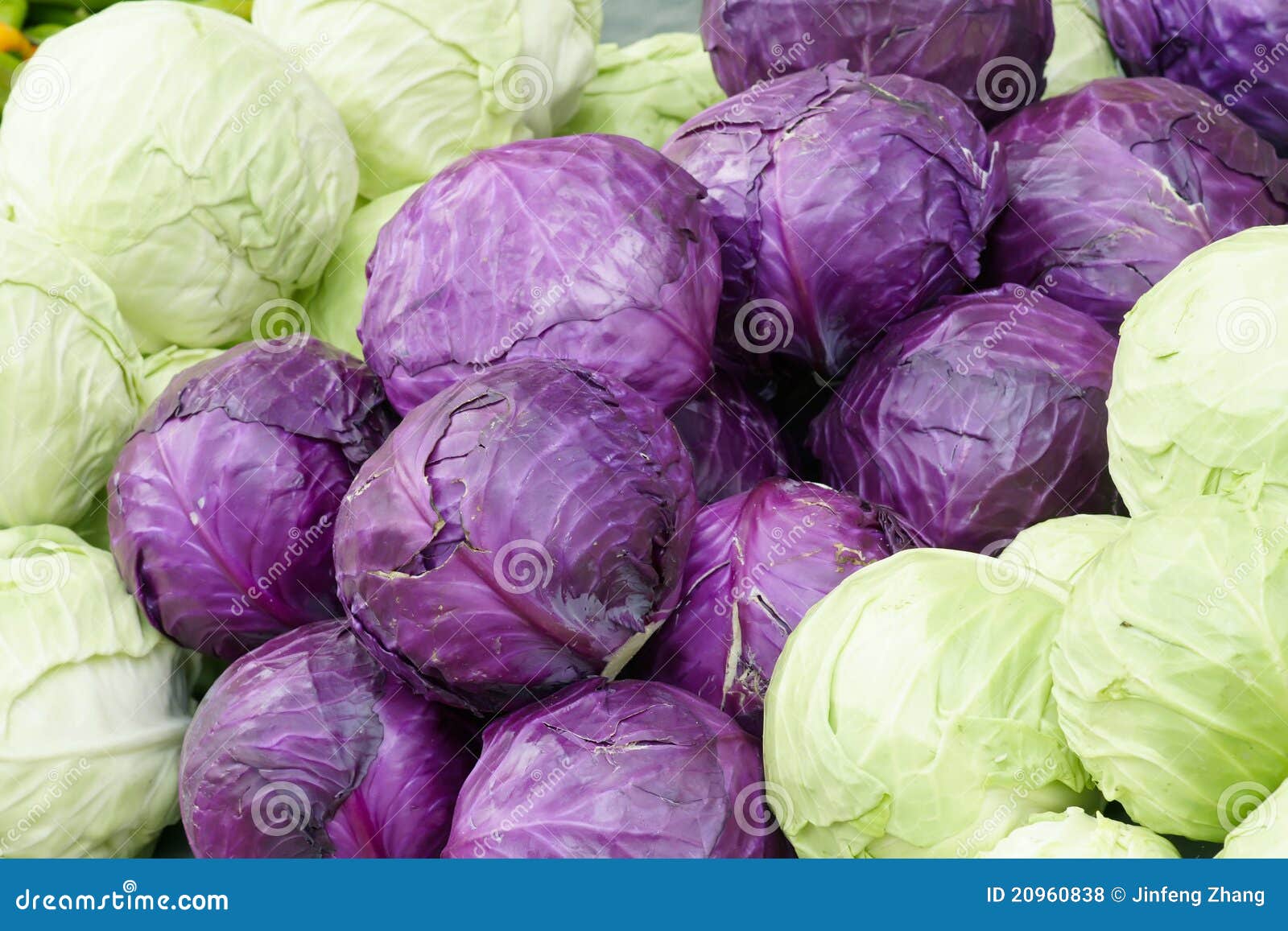 Cabbages stock photo. Image of roundish, market, round - 20960838