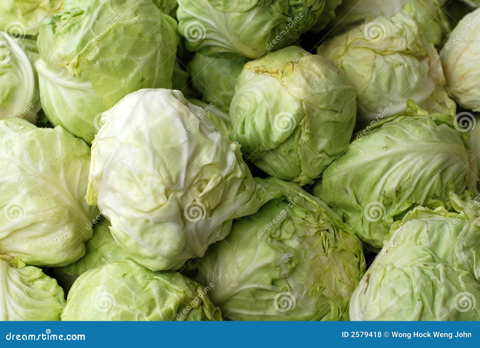 Cabbages stock photo. Image of farm, gardens, healthy - 2579418