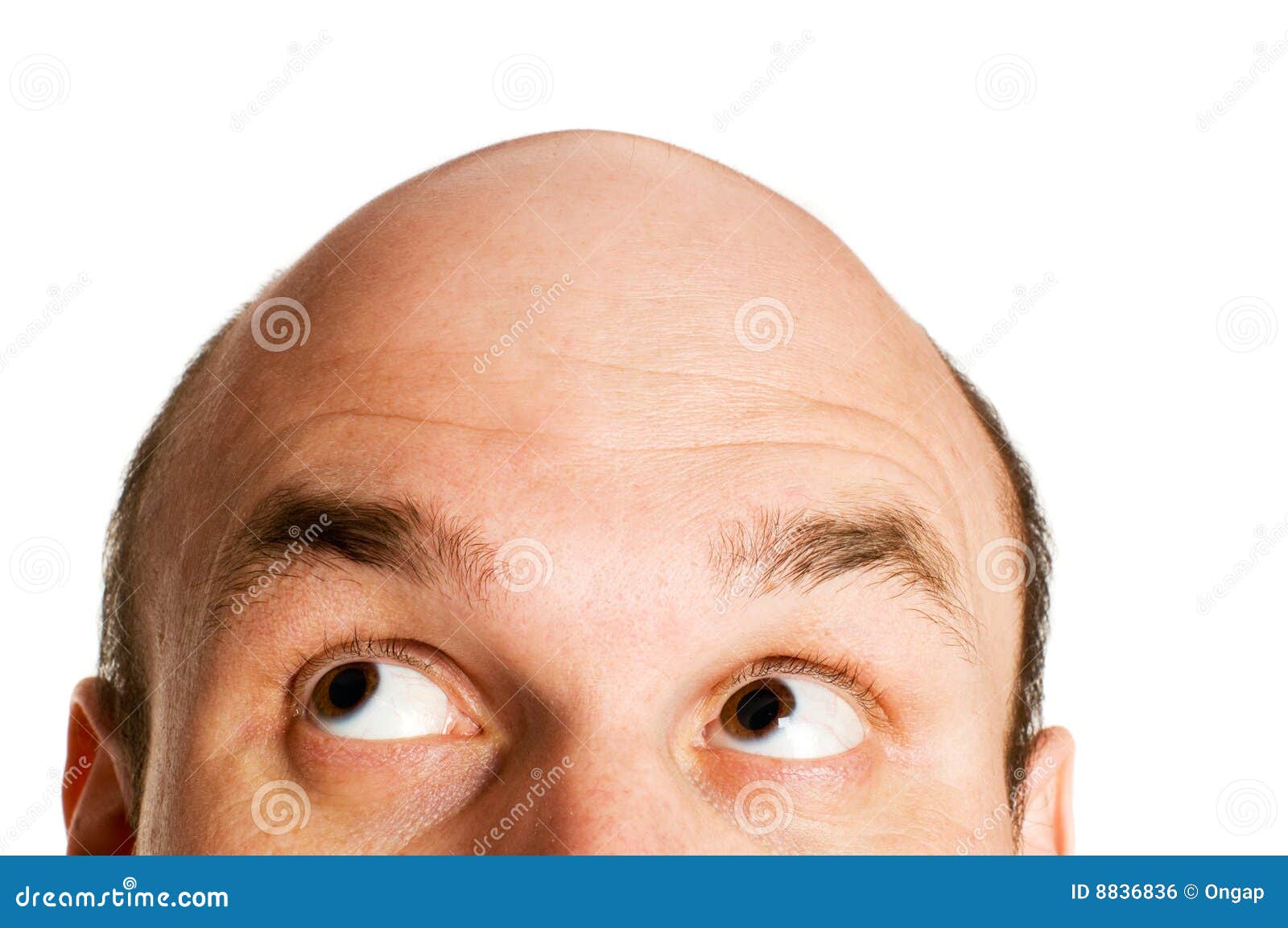Cabeça calva isolada foto de stock. Imagem de homem, povos - 8836836