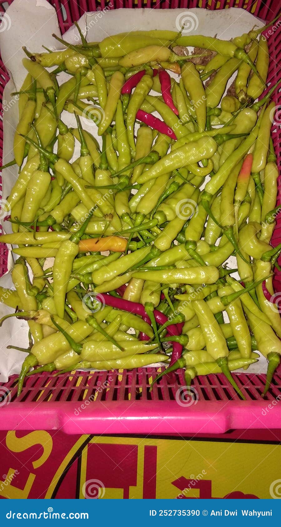 Cabe Rawit Very Hot or Spicy in the Basket Stock Photo - Image of ...