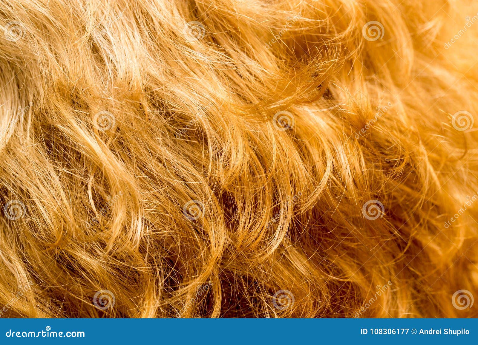 Cabelo Como Um Fundo Textura Imagem de Stock - Imagem de forma, cuidado ...
