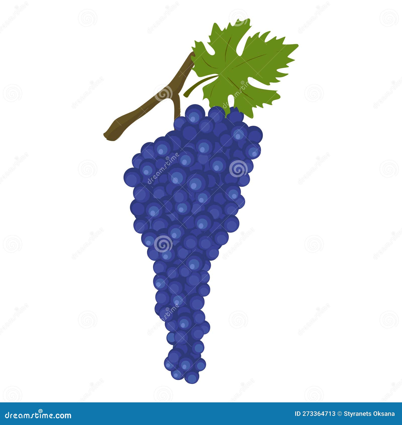 Cabernet Sauvignon Red-wine Variety of Grape Stock Vector ...