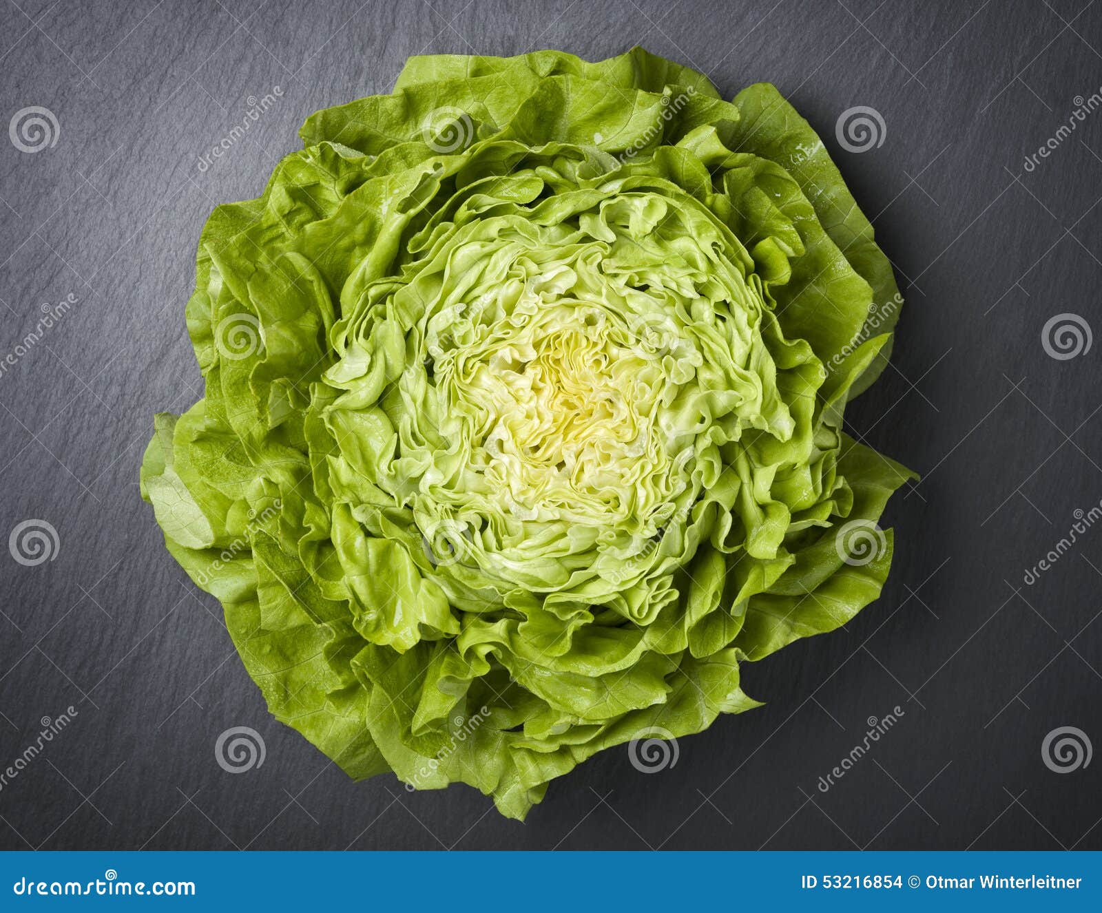 Cabeza De La Lechuga Cortada En Piedra Foto de archivo - Imagen de ...