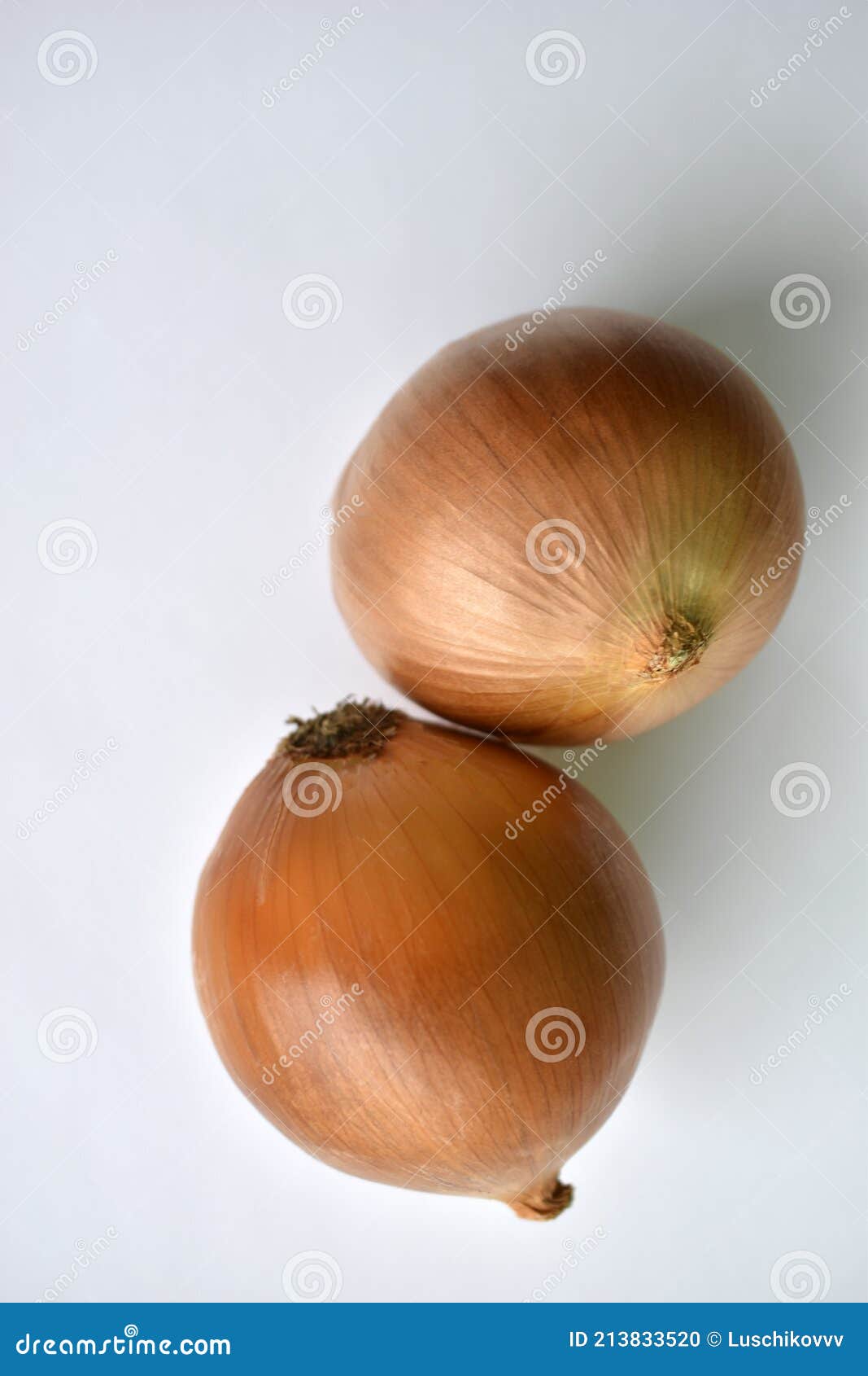 Cabezas De Cebolla Roja Sobre Fondo Blanco Foto de archivo - Imagen de ...