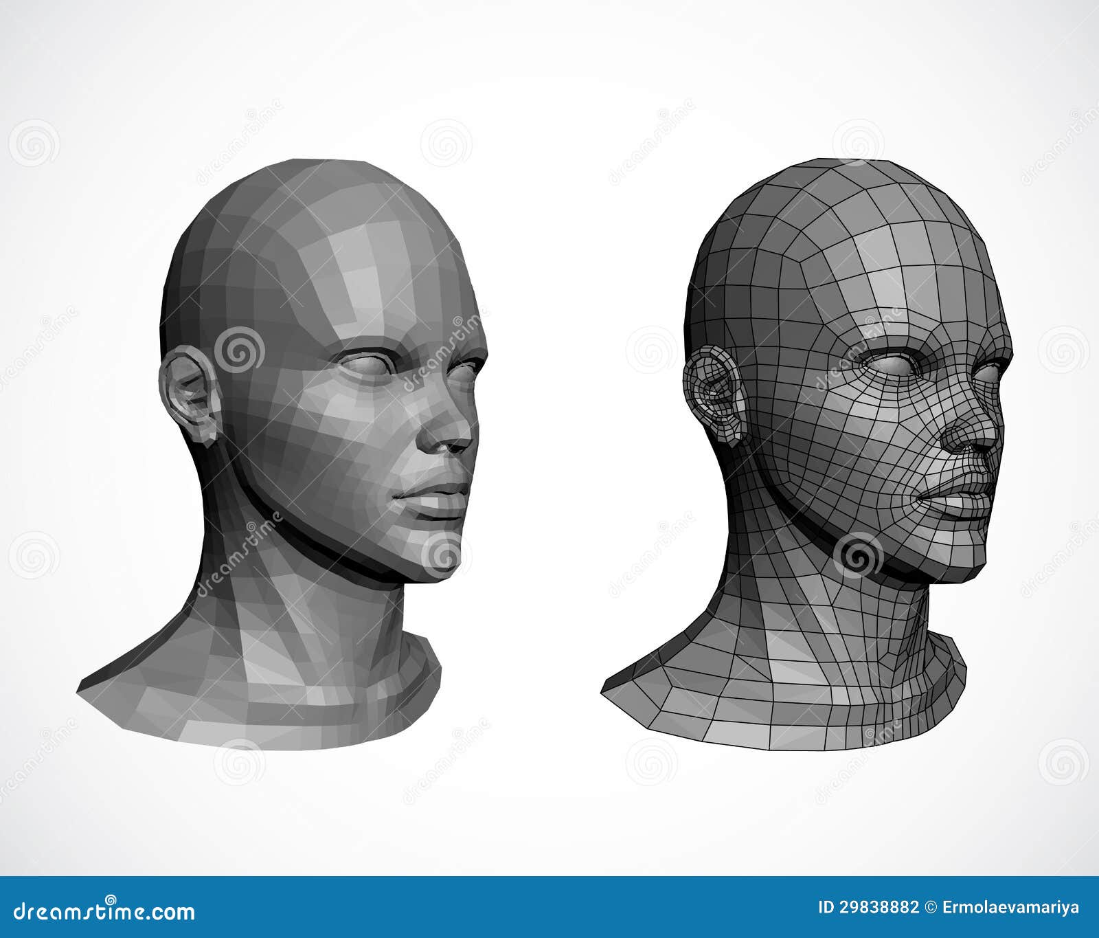 Cabezas femeninas. Vector ilustración del vector. Ilustración de ...