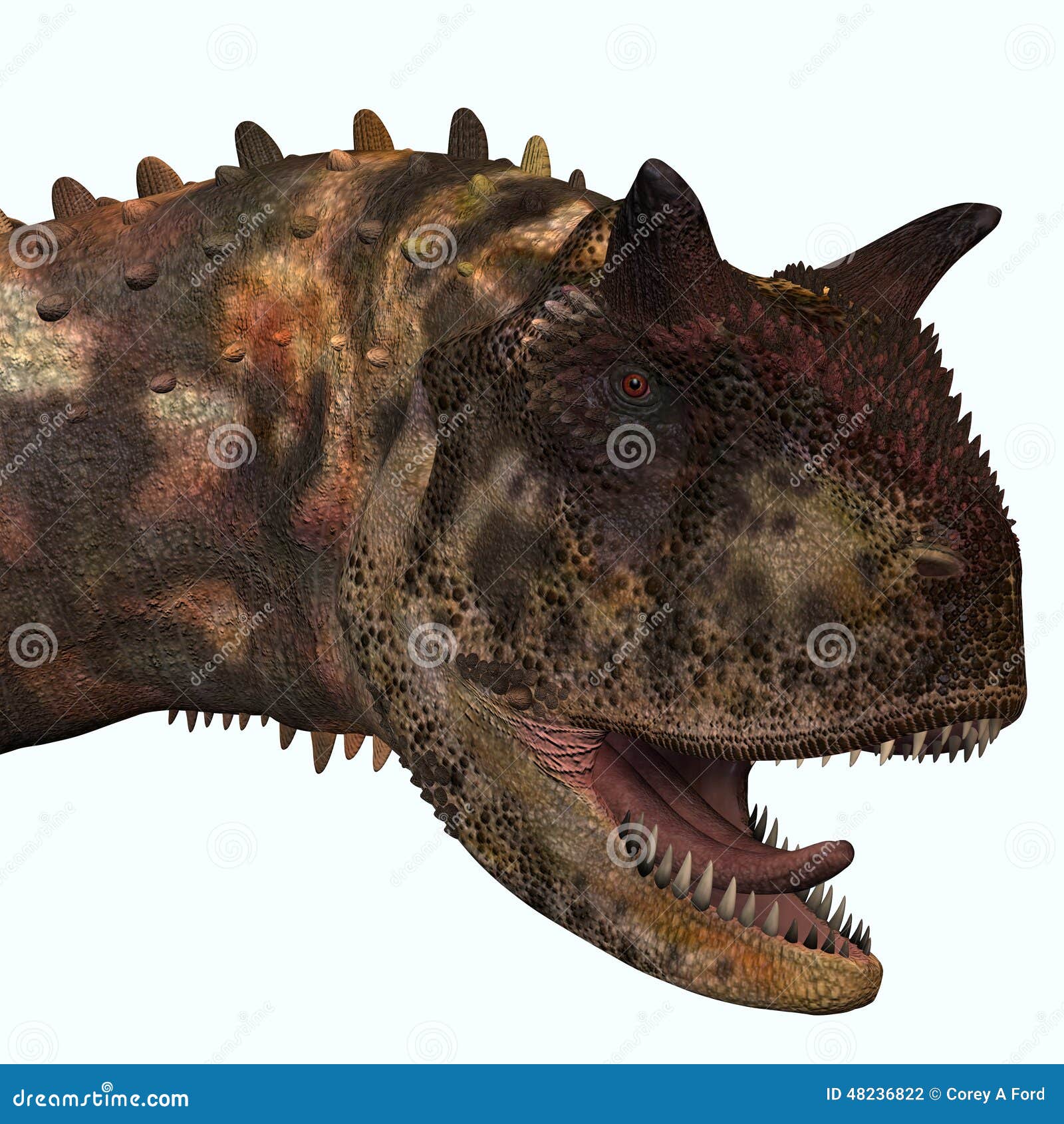 Cabeça Do Carnotaurus Ilustração Stock Ilustração De Dinossauro 48236822