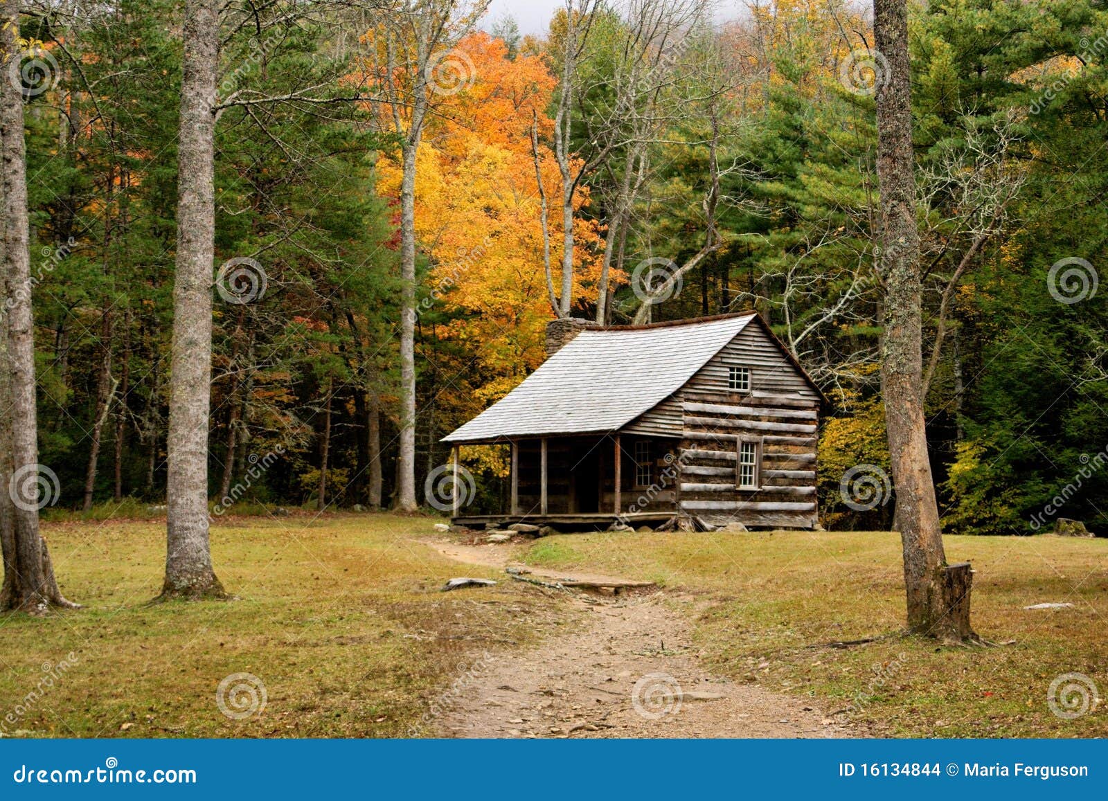 Cabin deep in the forest stock photo. Image of compartment - 16134844