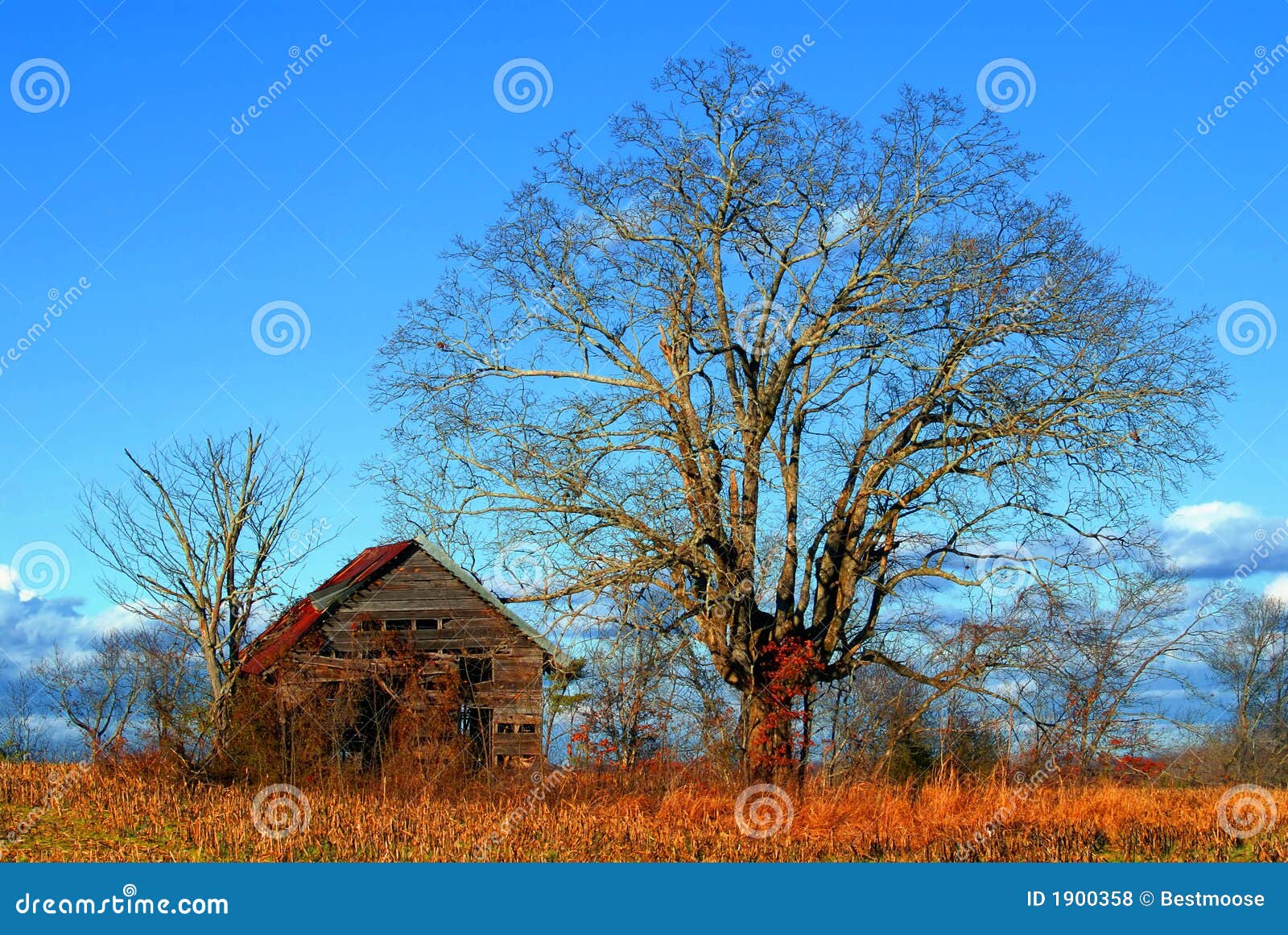 Cabin in fall stock photo. Image of country, house, isolated - 1900358
