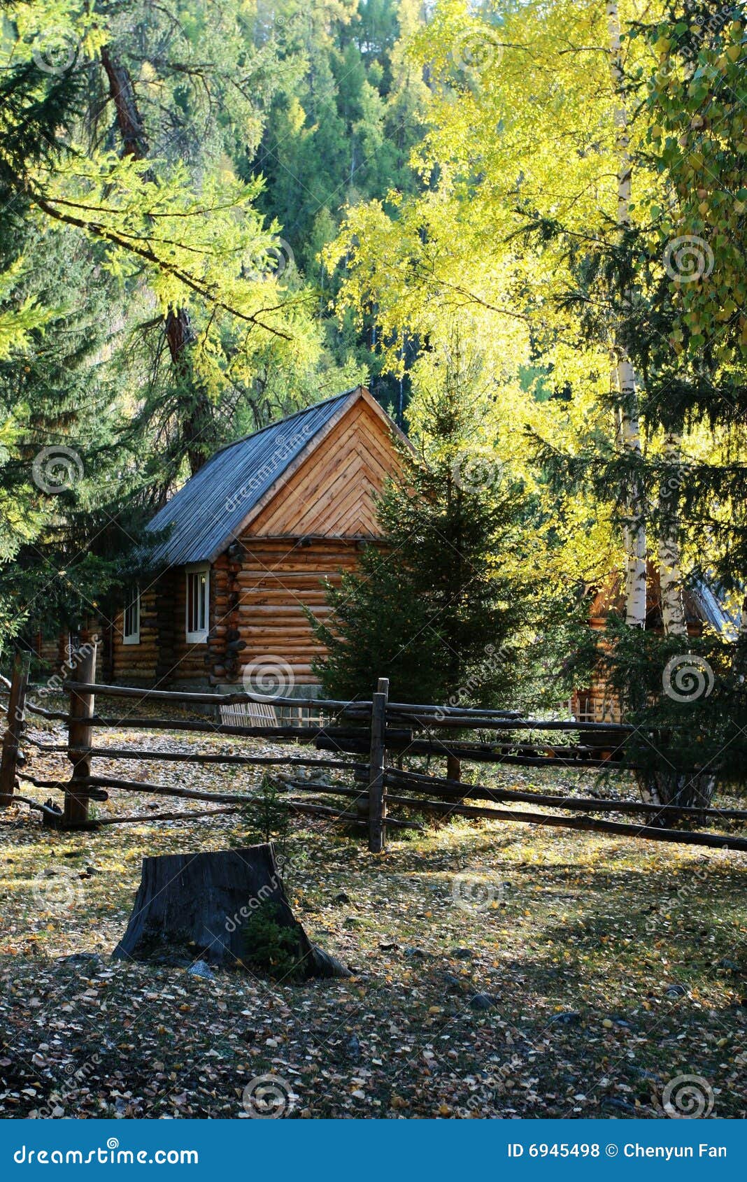 Cabin in forest stock photo. Image of countryside, baihaba - 6945498