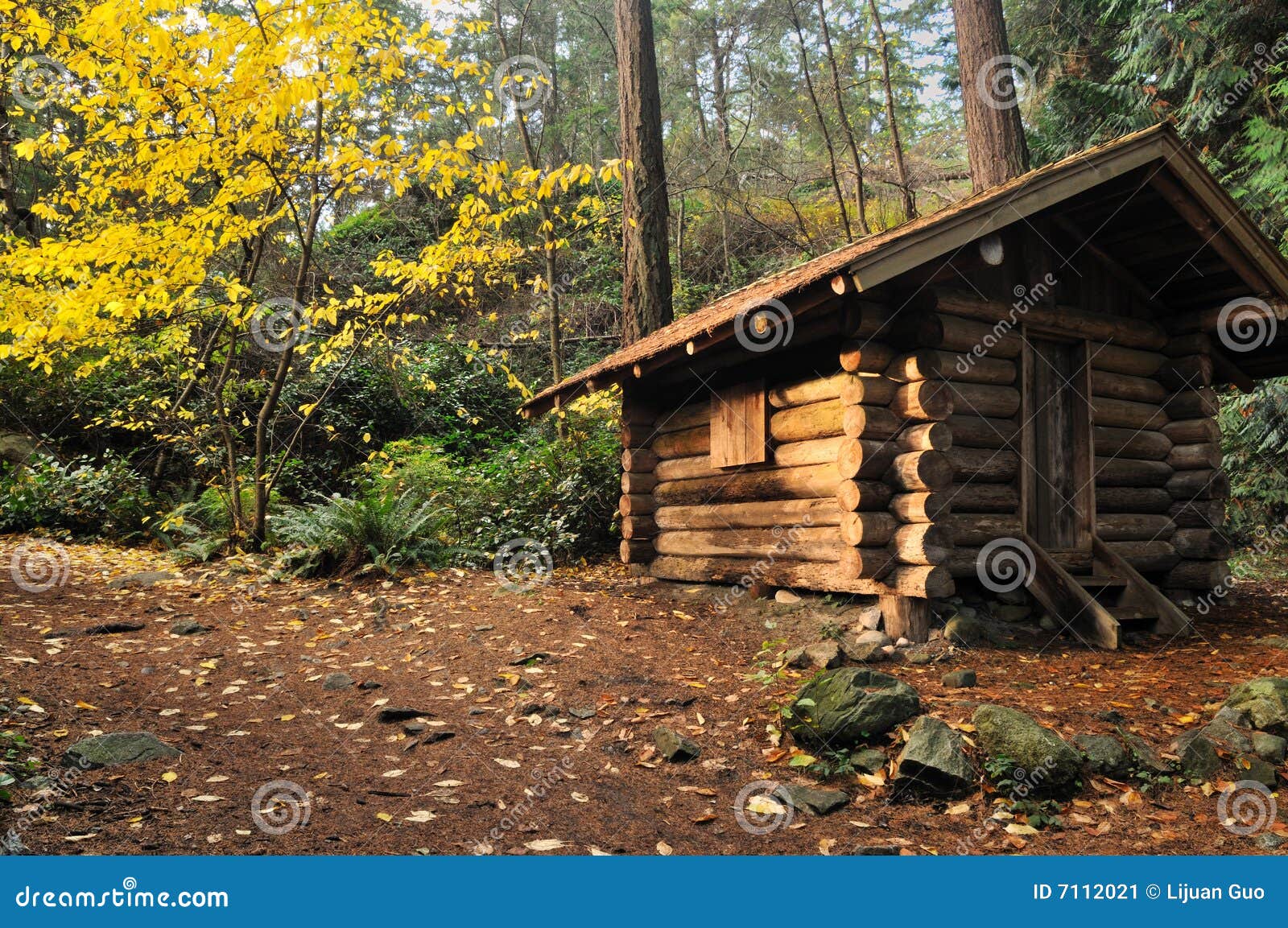 Cabin in forest stock image. Image of trail, sunset, shelter - 7112021