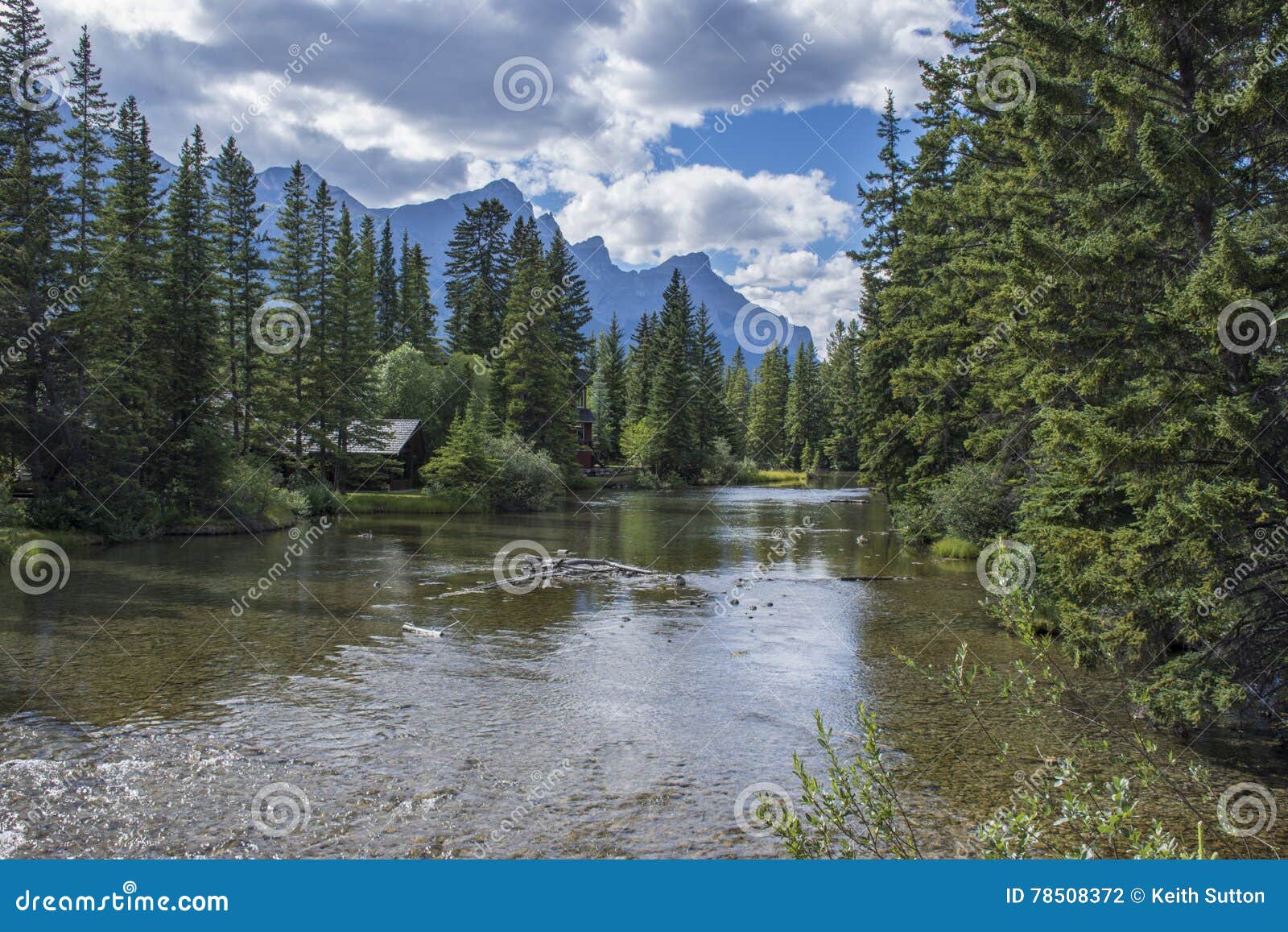 Cabin in the Forest by River Stock Photo - Image of water, stream: 78508372