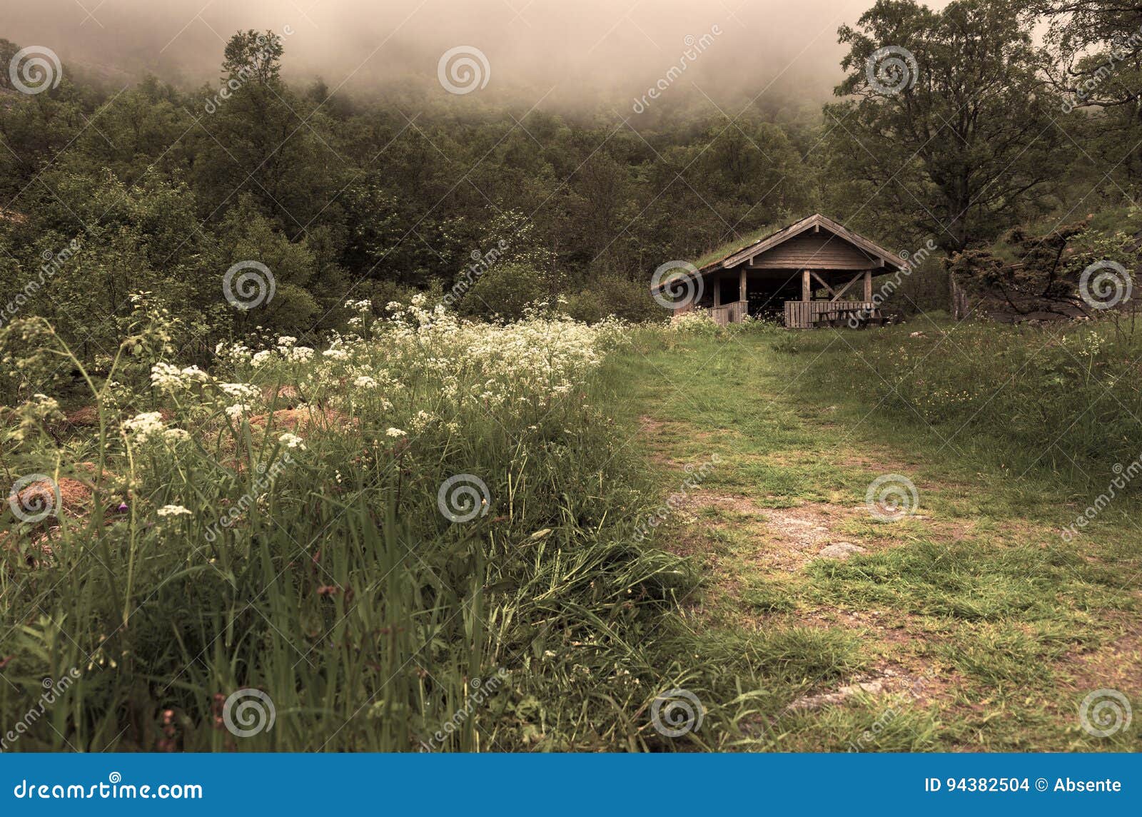 Cabin stock photo. Image of cabin, path, weathered, forest - 94382504