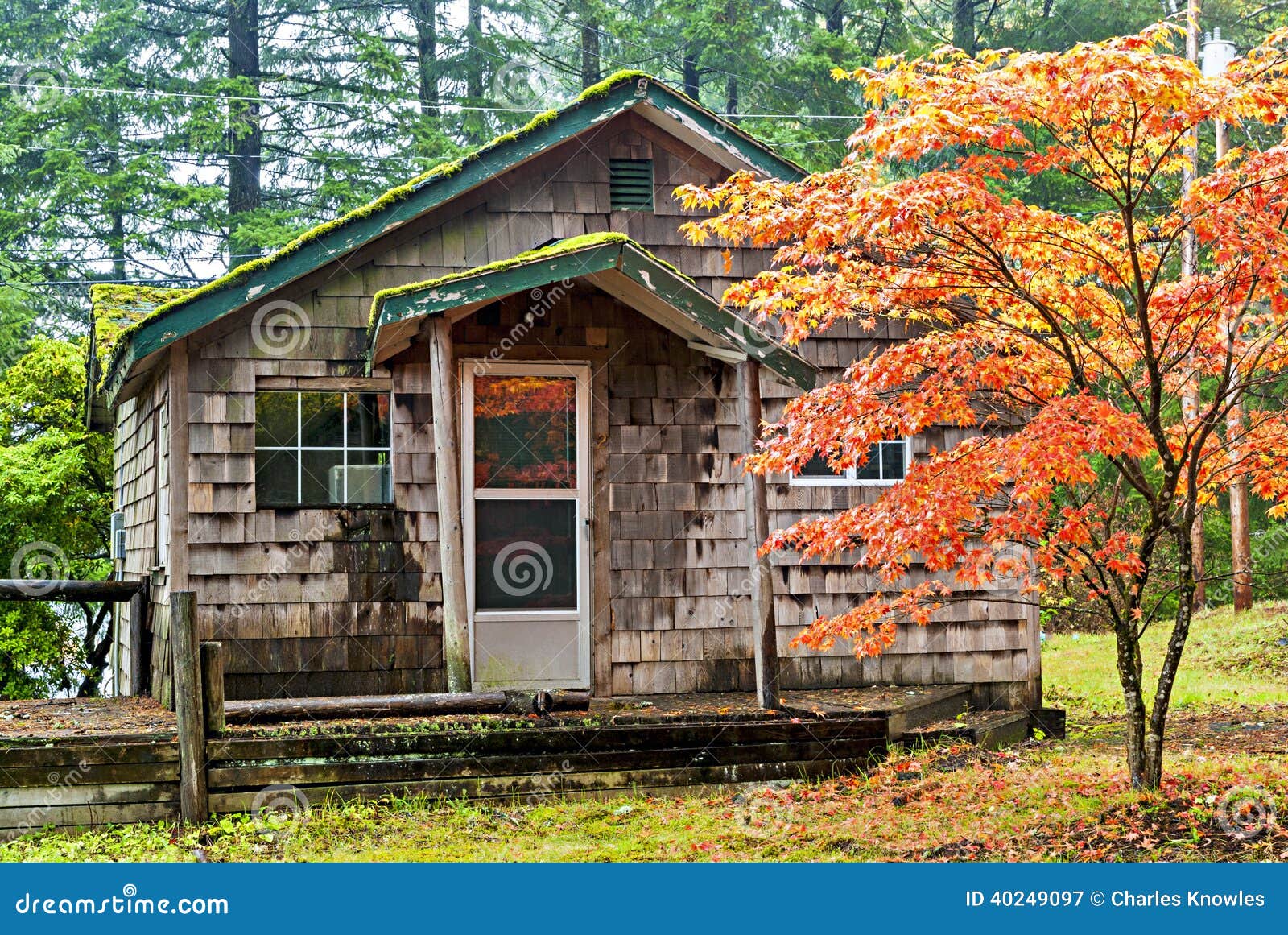 Cabin in the Rain Forest of Oregon Stock Image - Image of rustic ...