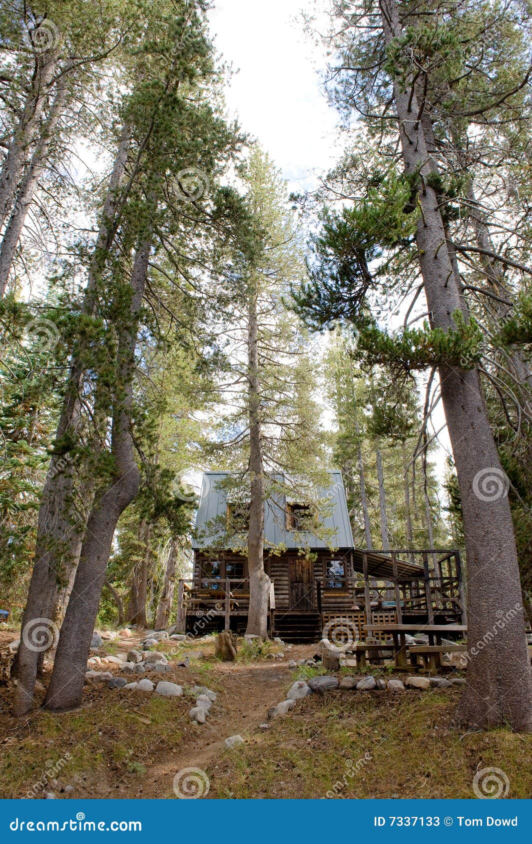 Cabin in scenic forest stock image. Image of forested - 7337133