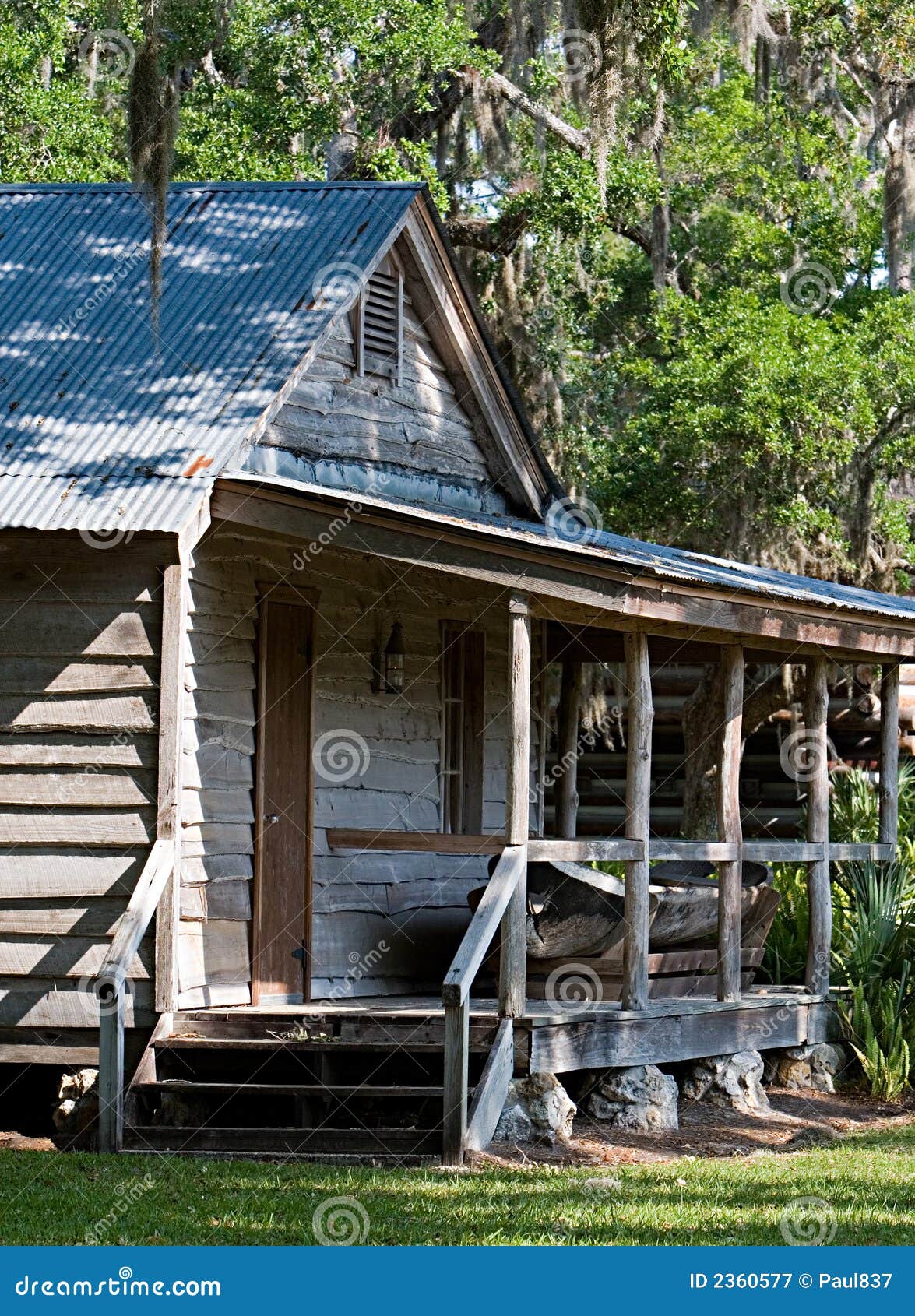 Old Cabin Swamp Scenes