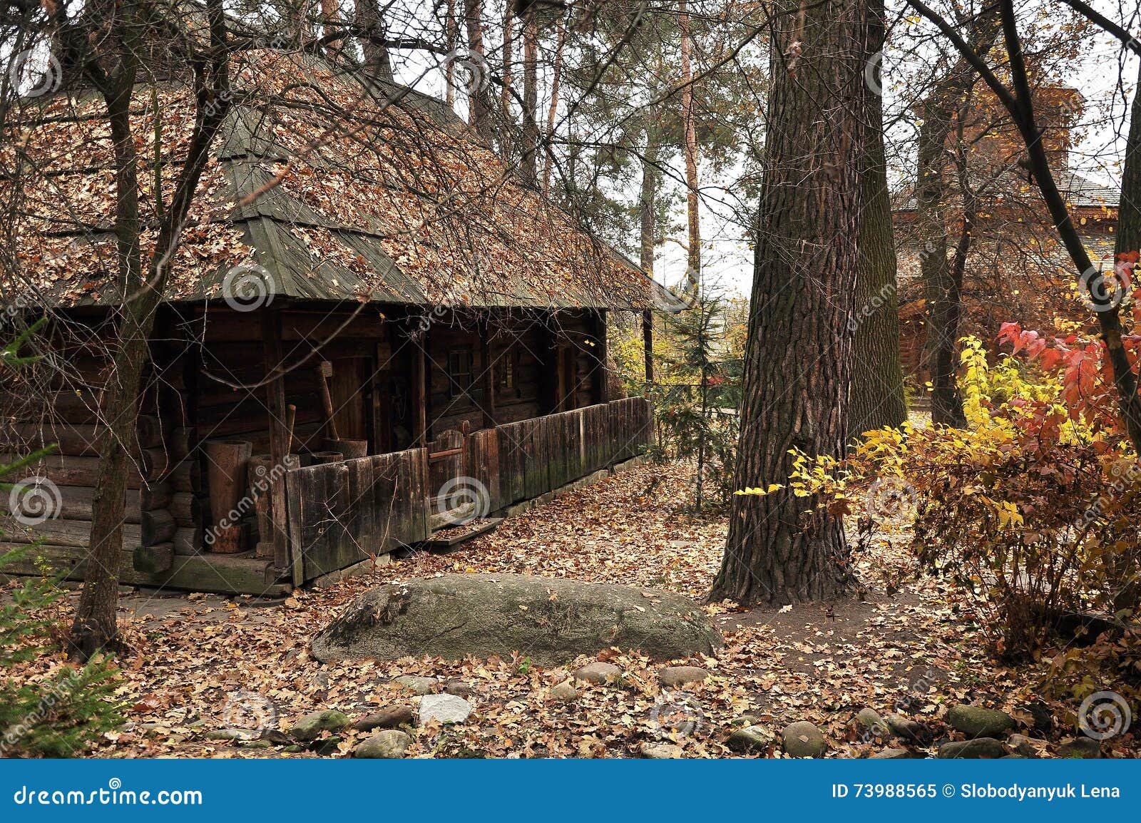 Cabin in the woods stock image. Image of view, forest - 73988565