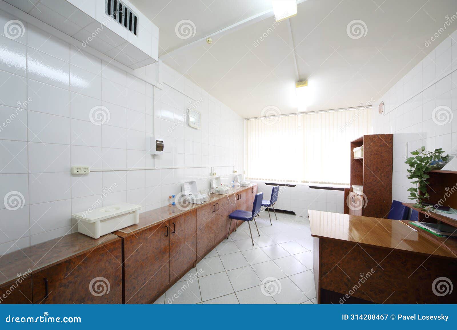 Cabinet for Inhalation with Three Inhalers and Stock Image - Image of ...