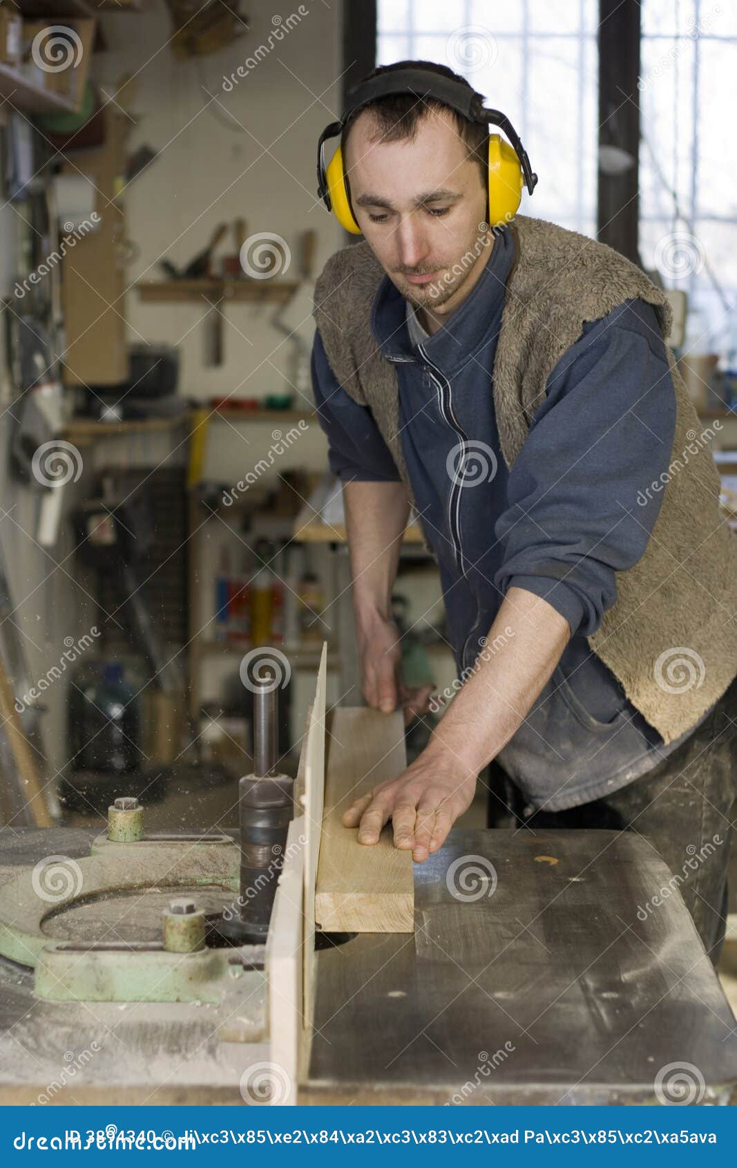 Cabinet maker stock photo. Image of plant, maker, span - 3894340