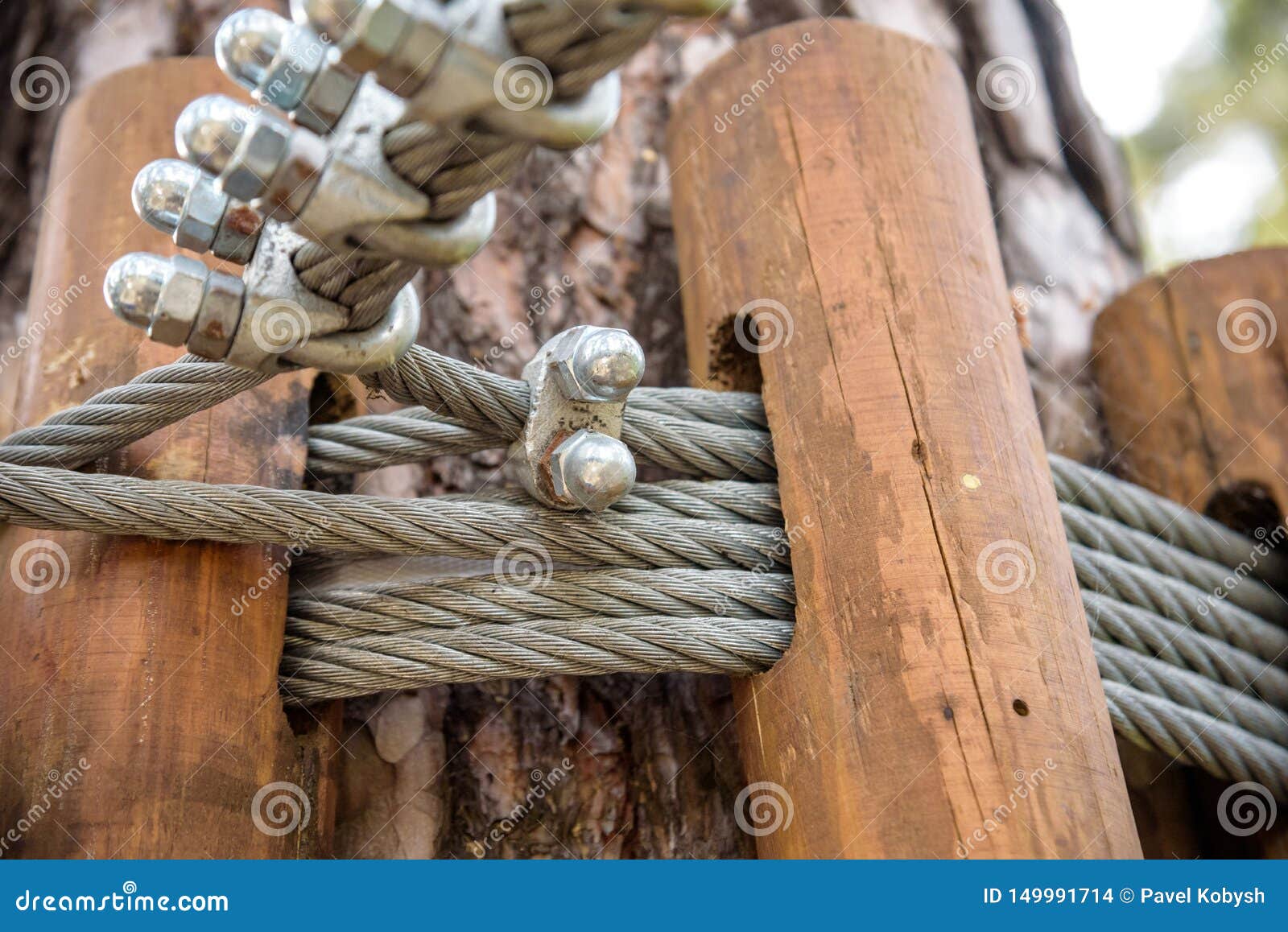 The Cable is Attached Around the Tree Stock Photo - Image of cord, knot ...