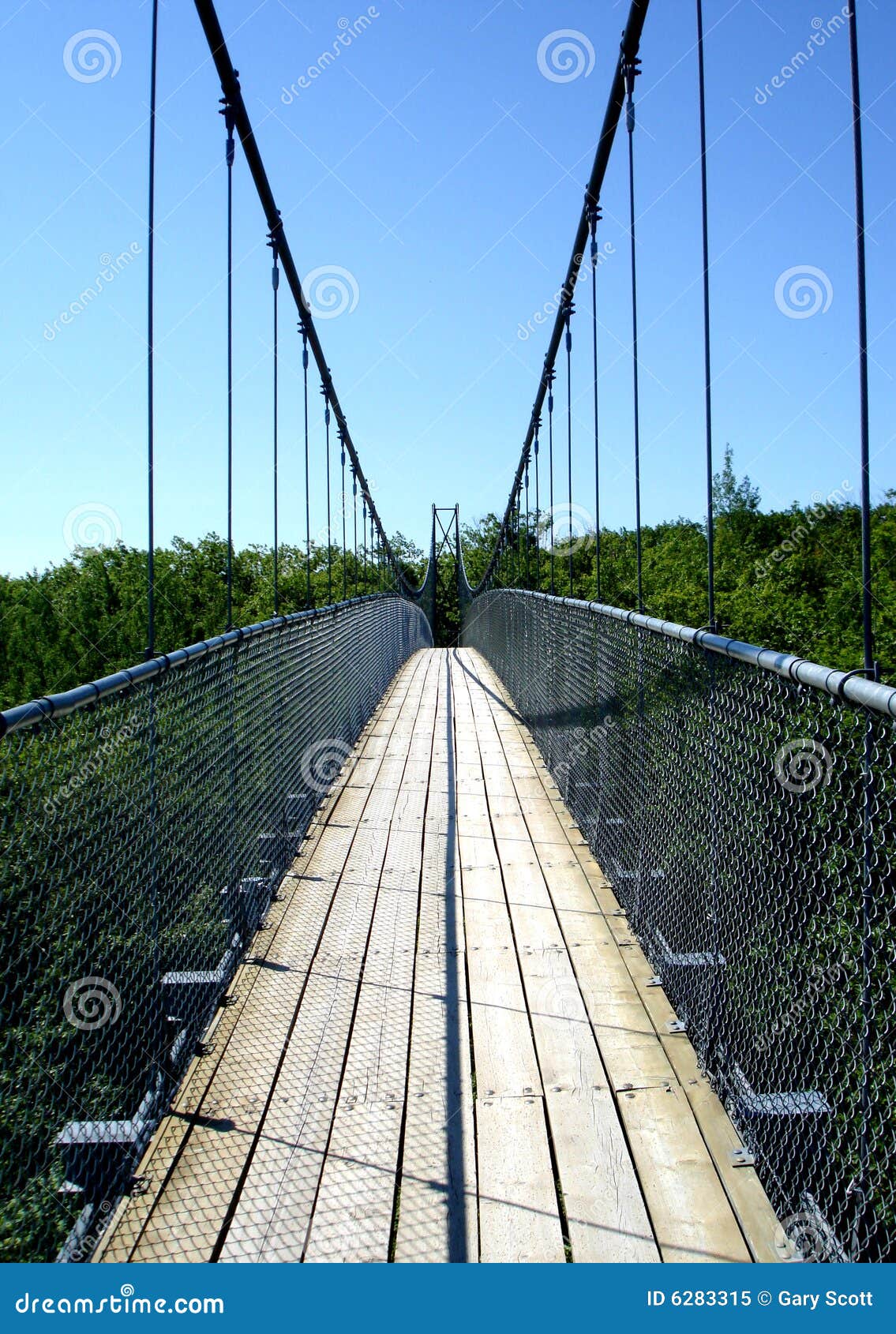 Cable Bridge stock image. Image of build, bridge, walkway - 6283315