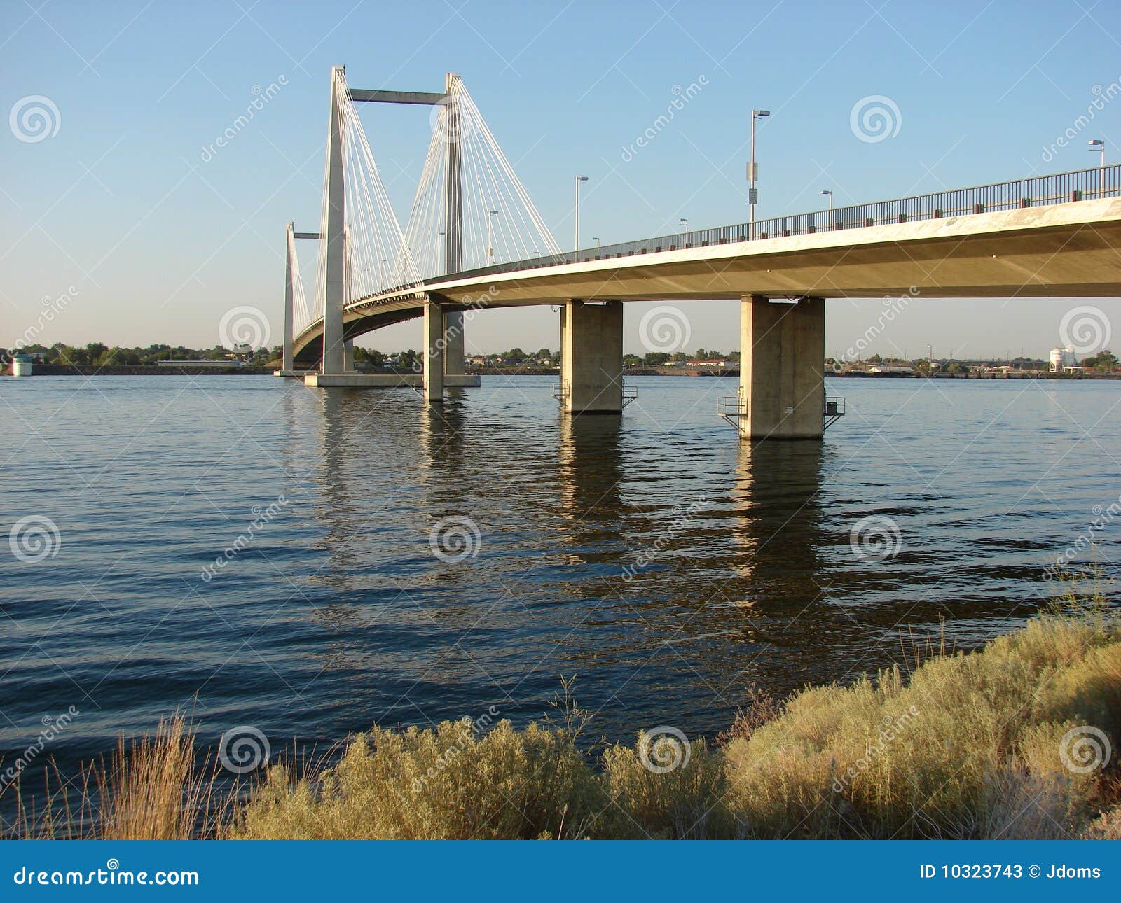 Cable Bridge Over Columbia River Stock Image - Image of brush, cable ...