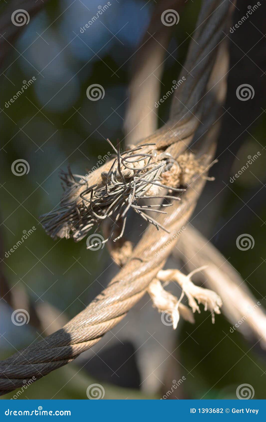 Cable broken stock photo. Image of rope, engineering, entwined - 1393682