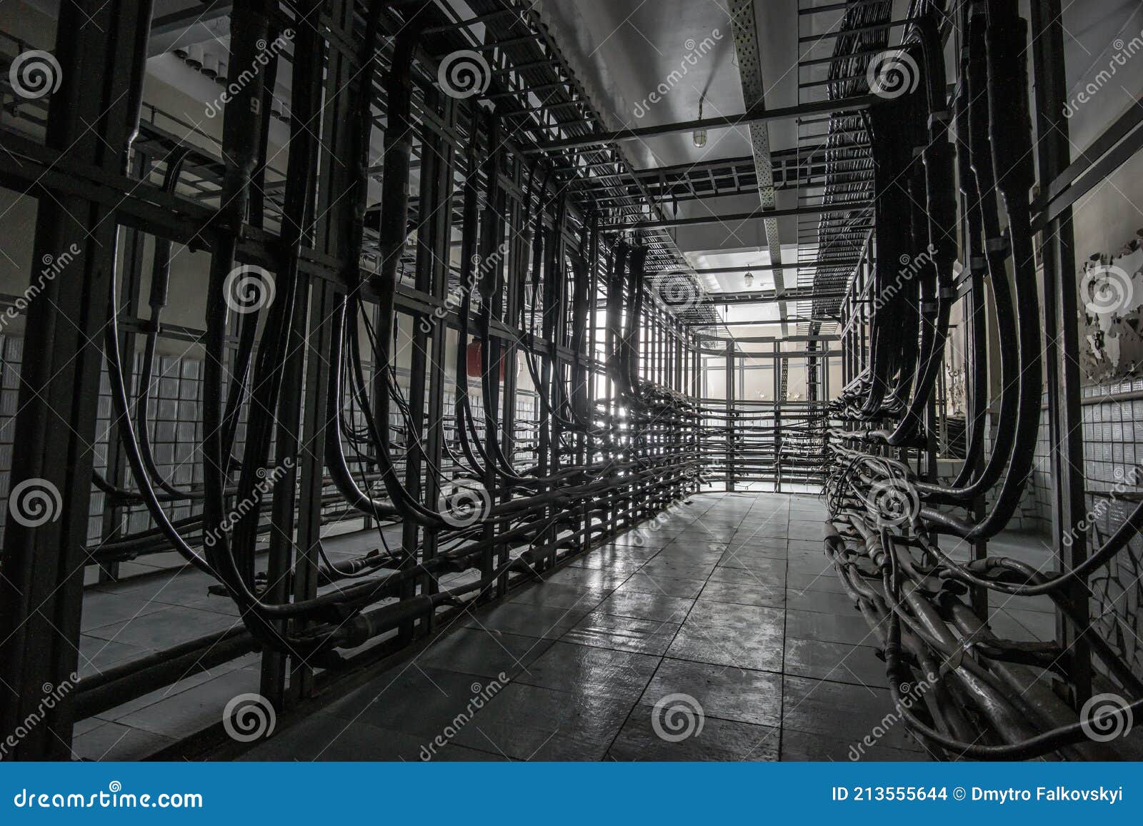 Cable Cabinet with Many Cables. Stock Photo - Image of internet, cables ...