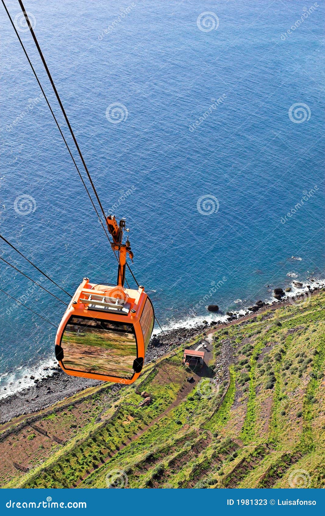 Cable car stock image. Image of electric, madeira, aerial - 1981323