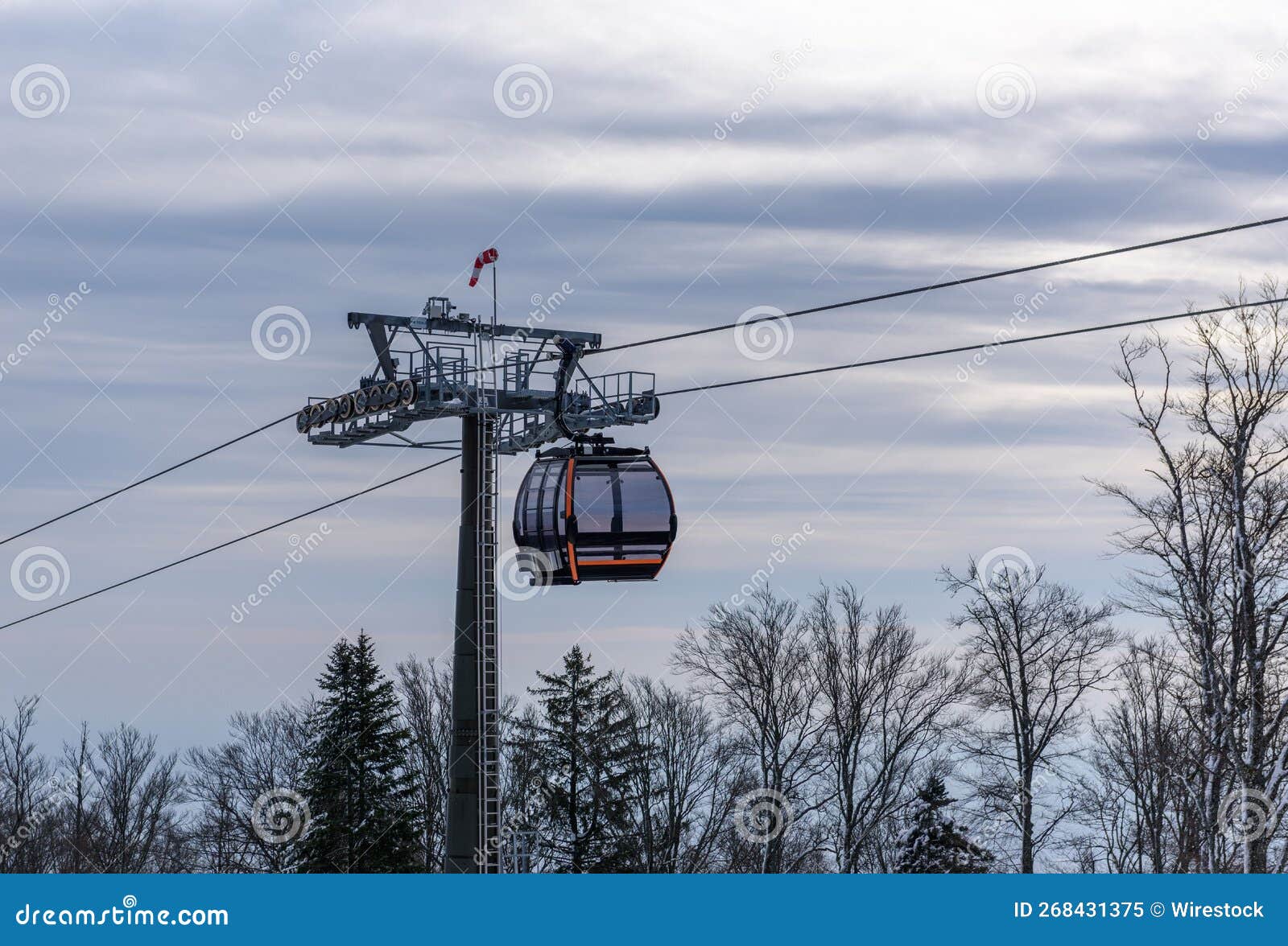 Cable Car Cabin Over the Weathered Trees Stock Image - Image of cable ...