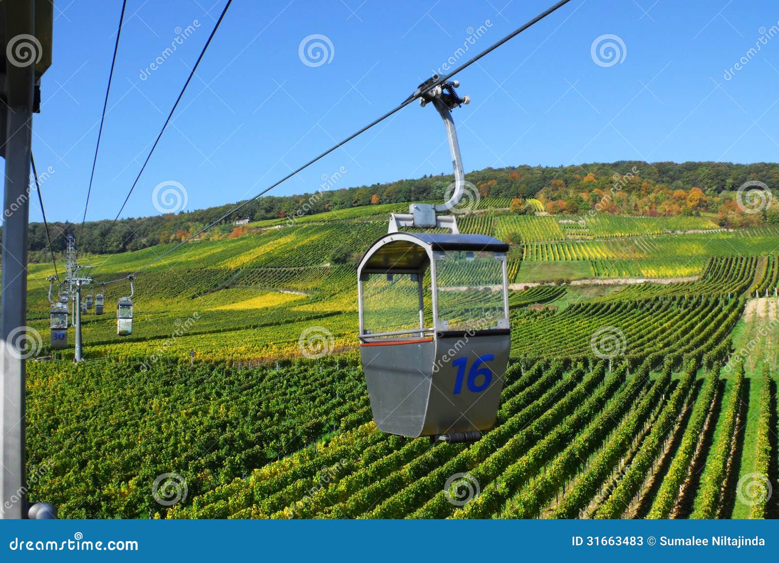 Cable car, funicular stock image. Image of afield, grapery - 31663483