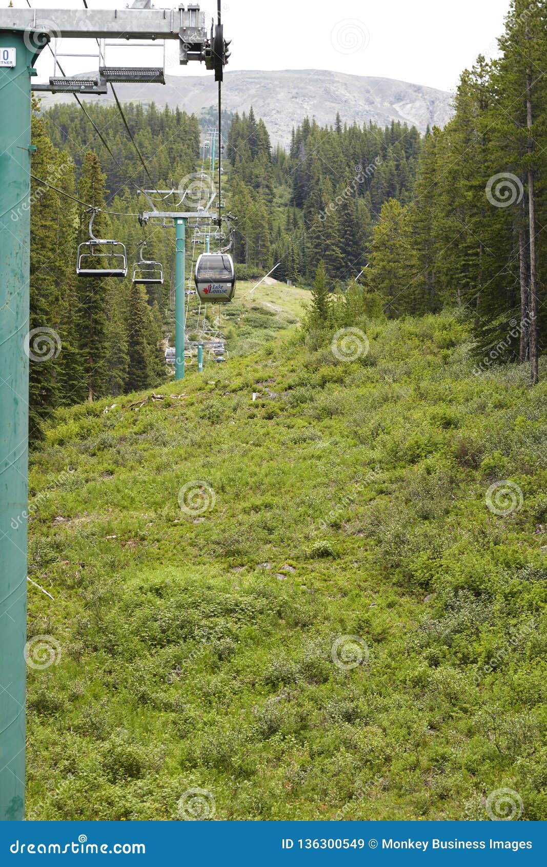 Cable Car Over Forested Valley in Alaska Stock Image - Image of ...