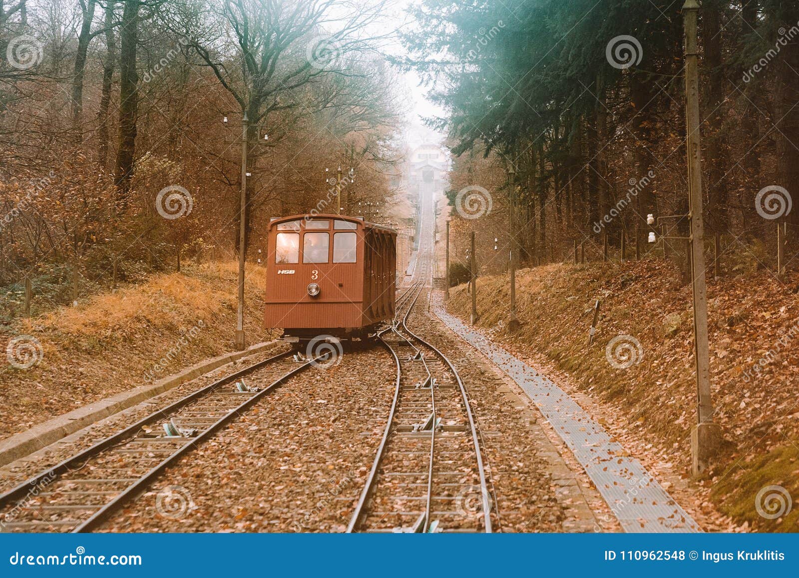 Tram Is Going Through Forest Royalty-Free Stock Photography ...