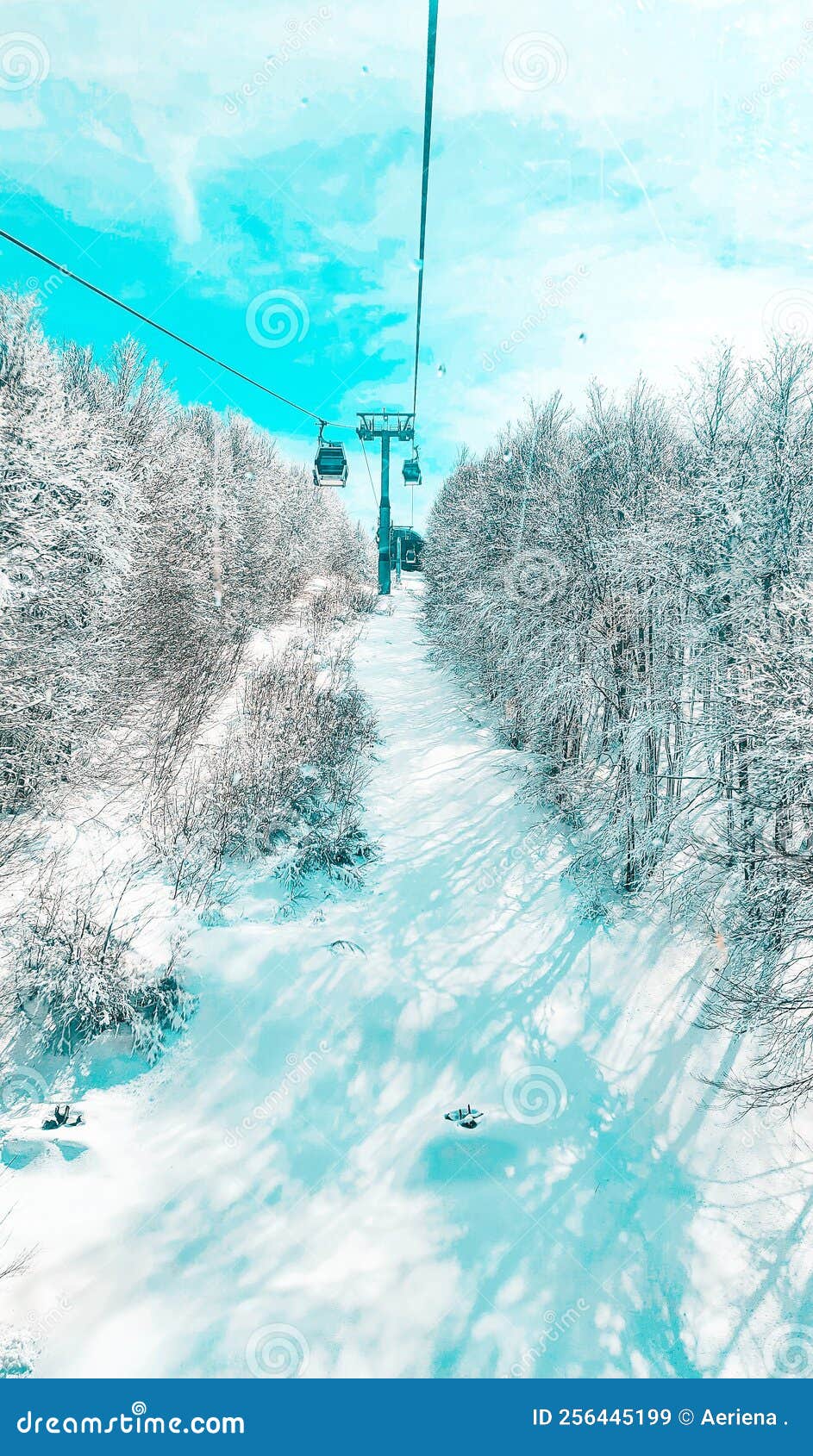 Cable Car in Turkey stock image. Image of trees, ride - 256445199