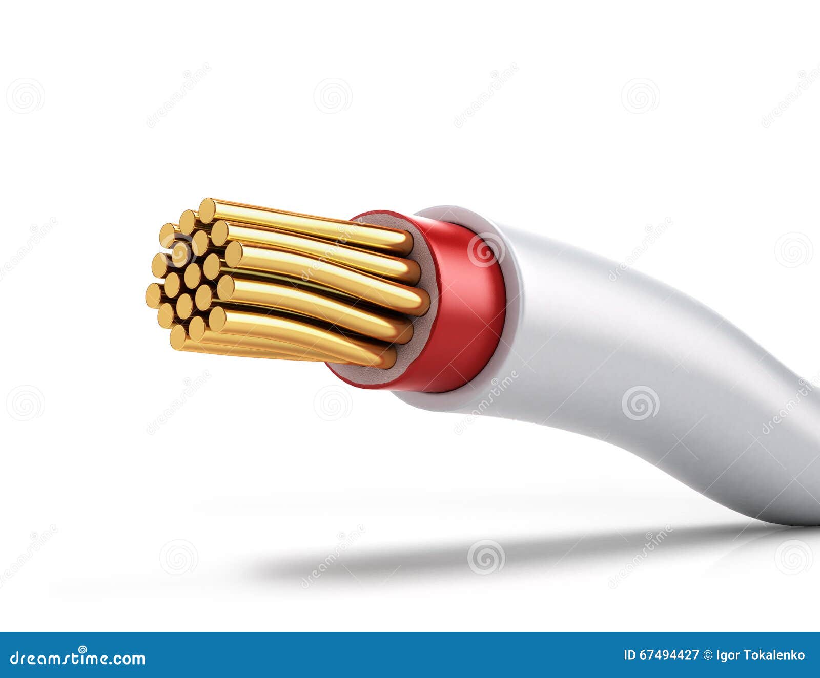 Cable Cross-section Isolated on White Stock Illustration - Illustration ...