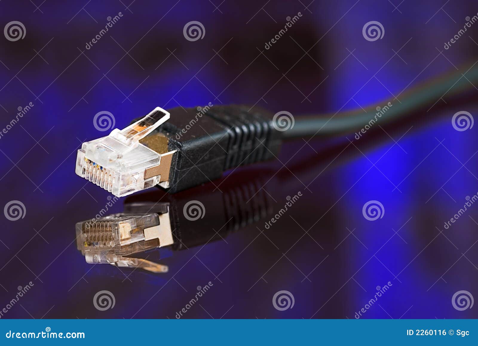 Cable Del Ordenador En Backgro Azul Foto de archivo - Imagen de ...