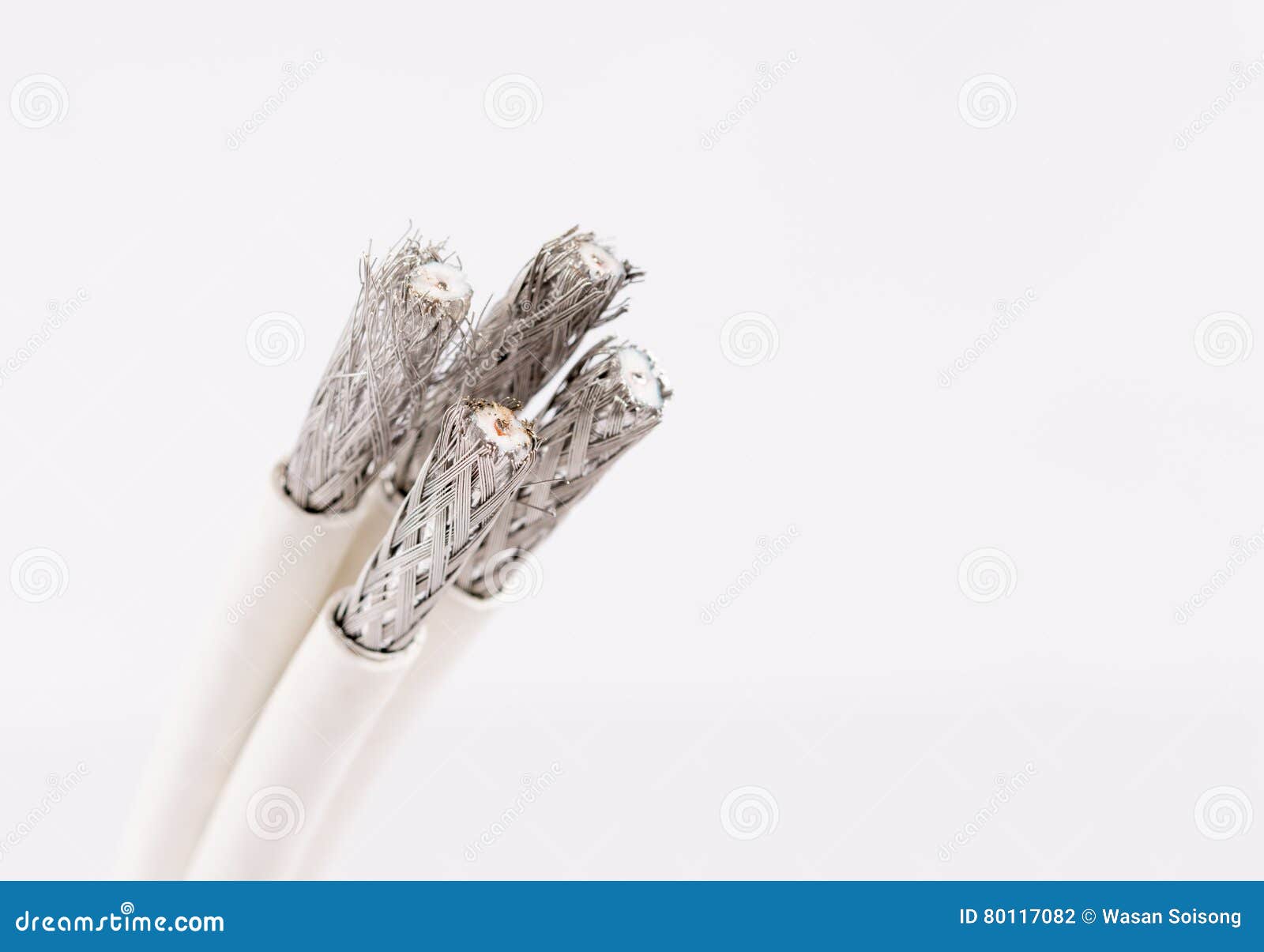 Cable for Digital TV, Cable TV, Data Cable on White Stock Photo - Image ...